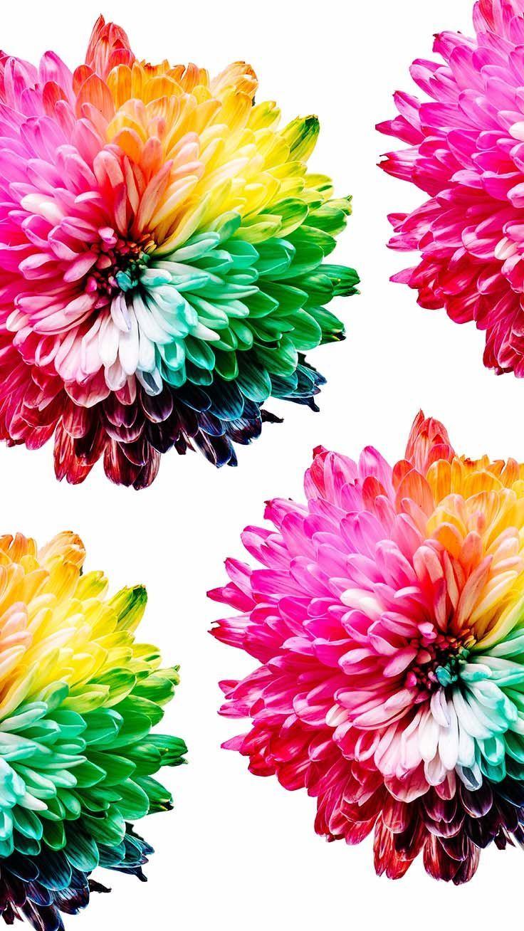 Cheerful Wallpapers - Top Free Cheerful Backgrounds - WallpaperAccess