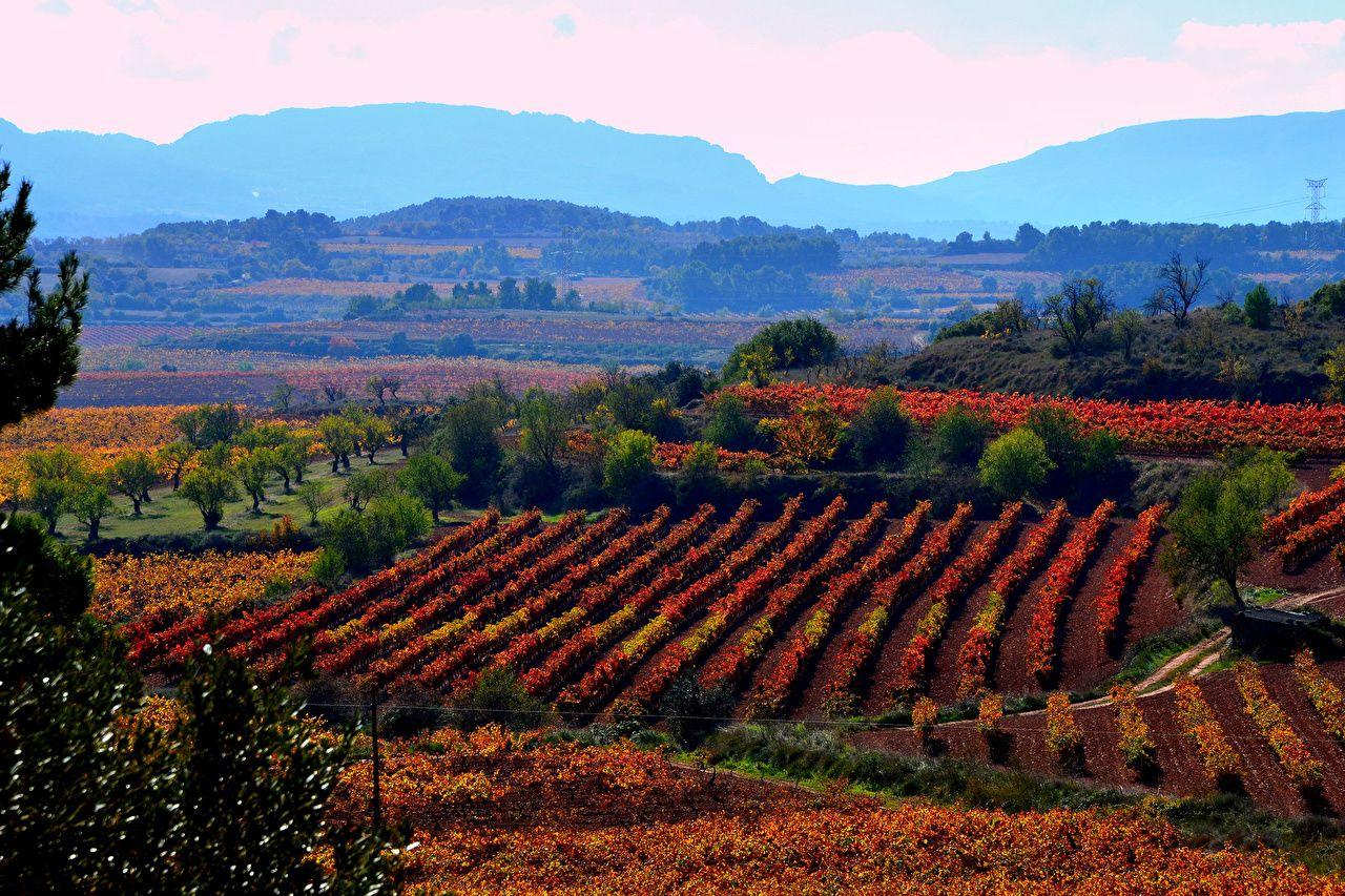Catalonia Wallpapers - Top Free Catalonia Backgrounds - WallpaperAccess