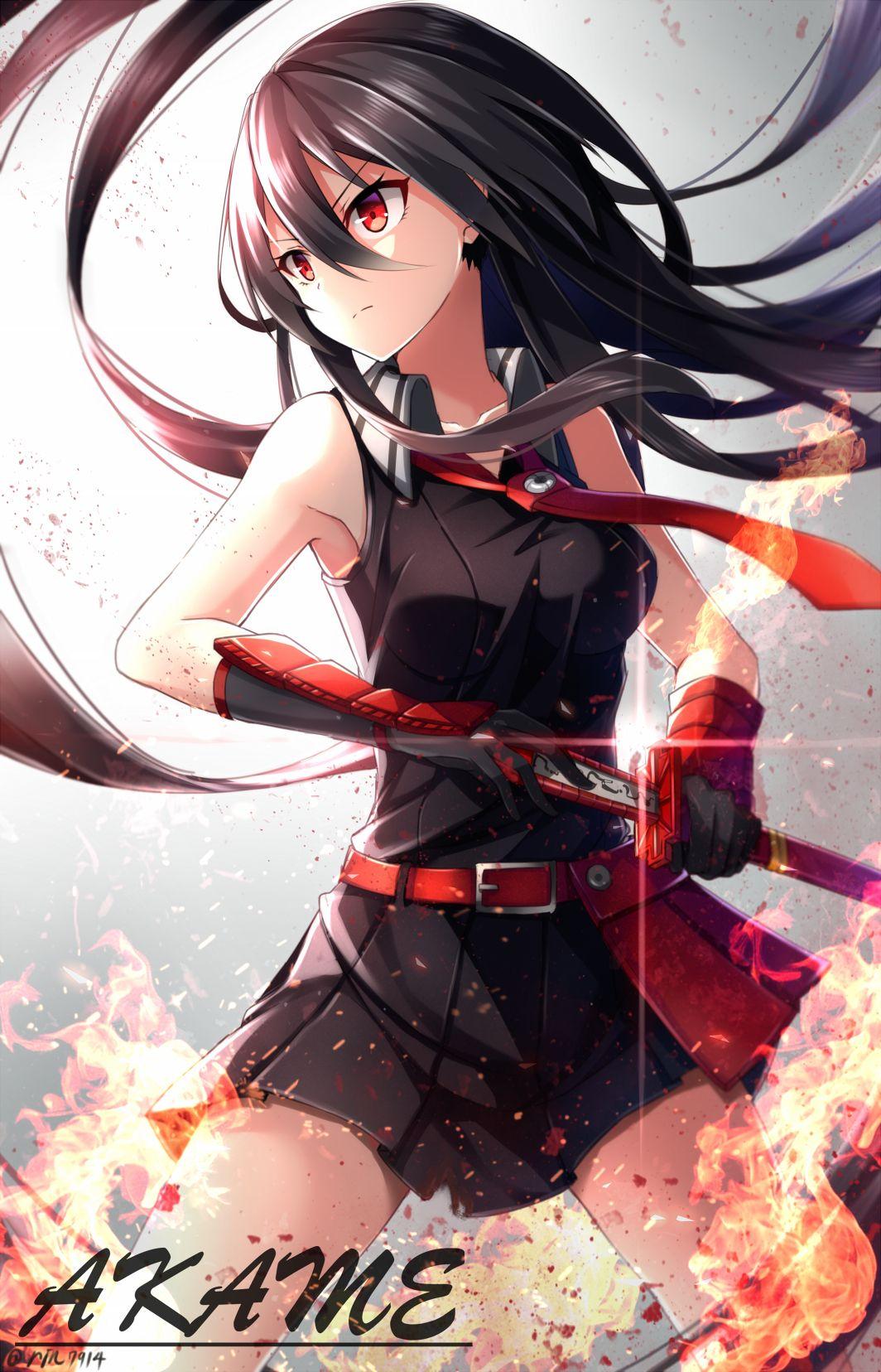 Akame Ga Kill Tatsumi Wallpapers - Top Free Akame Ga Kill Tatsumi ...