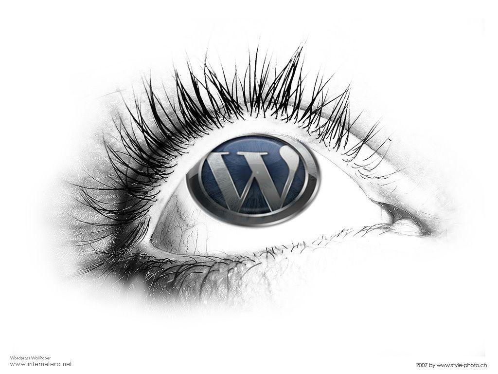 WordPress Wallpapers - Top Free WordPress Backgrounds - WallpaperAccess