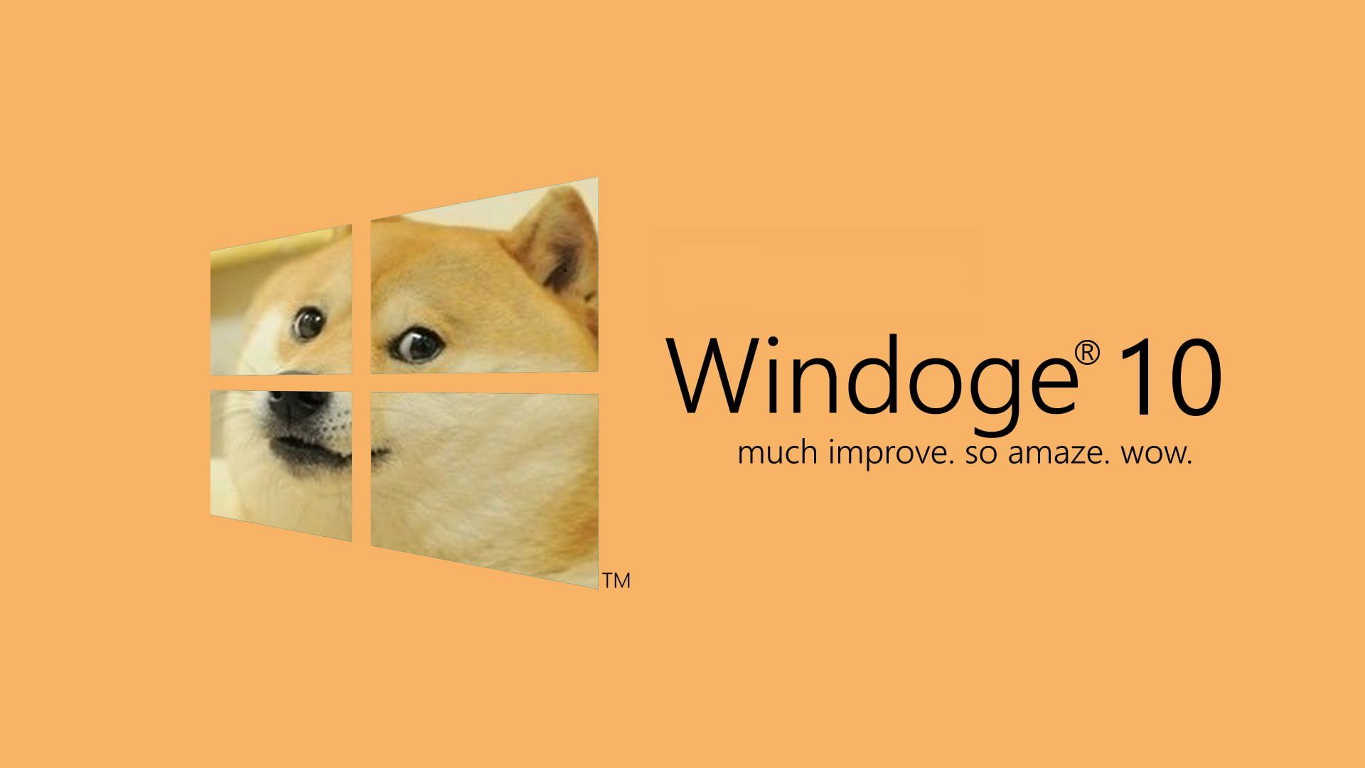 Doge 4K Wallpapers - Top Free Doge 4K Backgrounds - WallpaperAccess