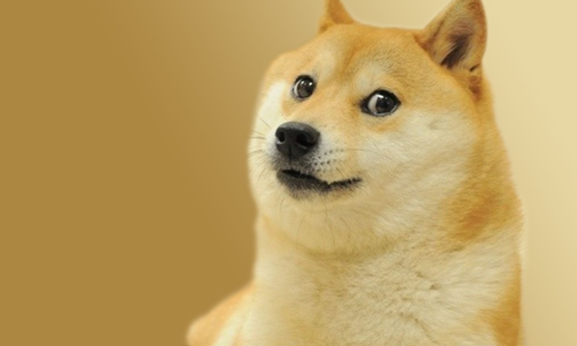 Doge 4K Wallpapers - Top Free Doge 4K Backgrounds - WallpaperAccess