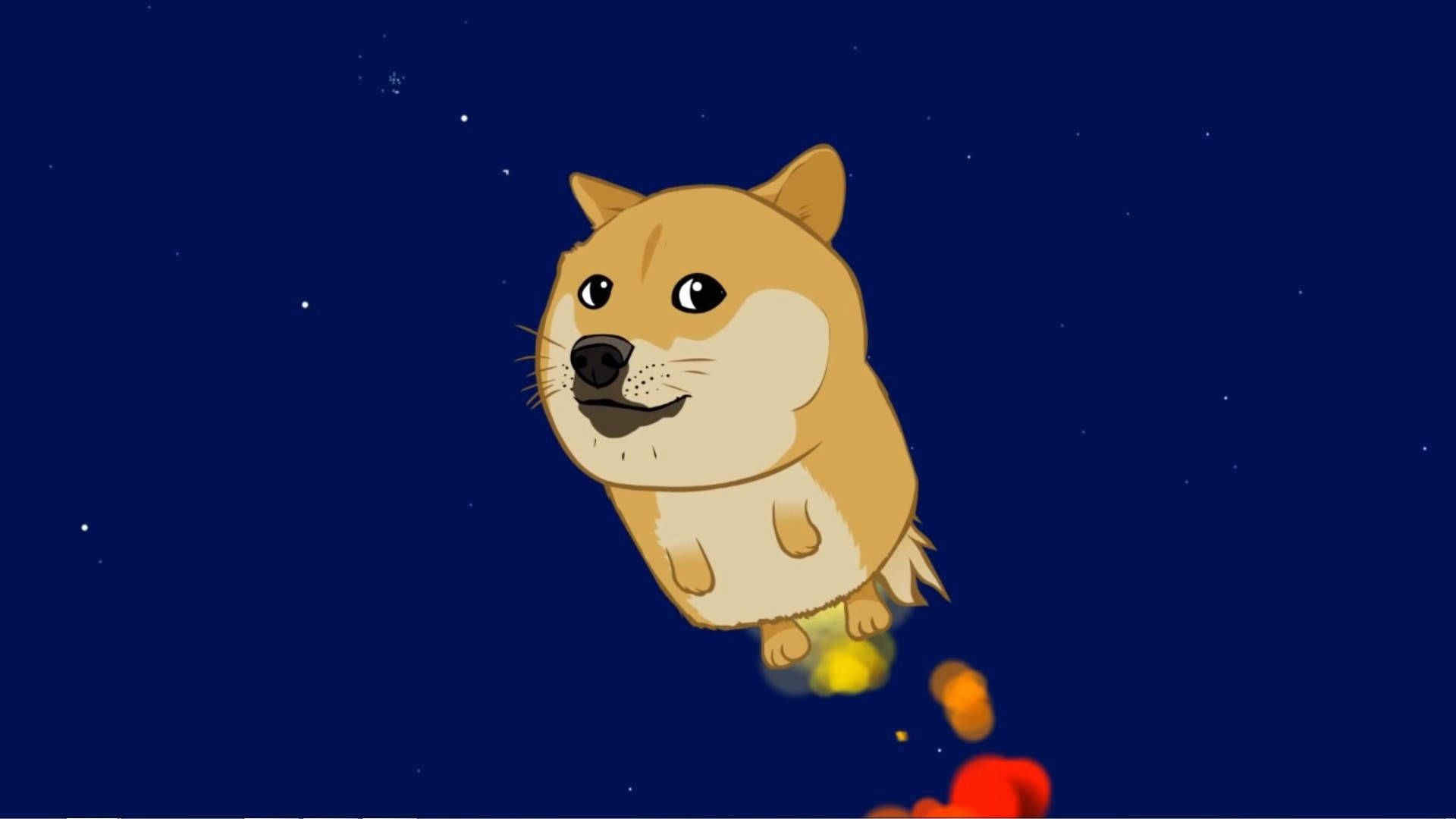 Doge 4K Wallpapers - Top Free Doge 4K Backgrounds - WallpaperAccess