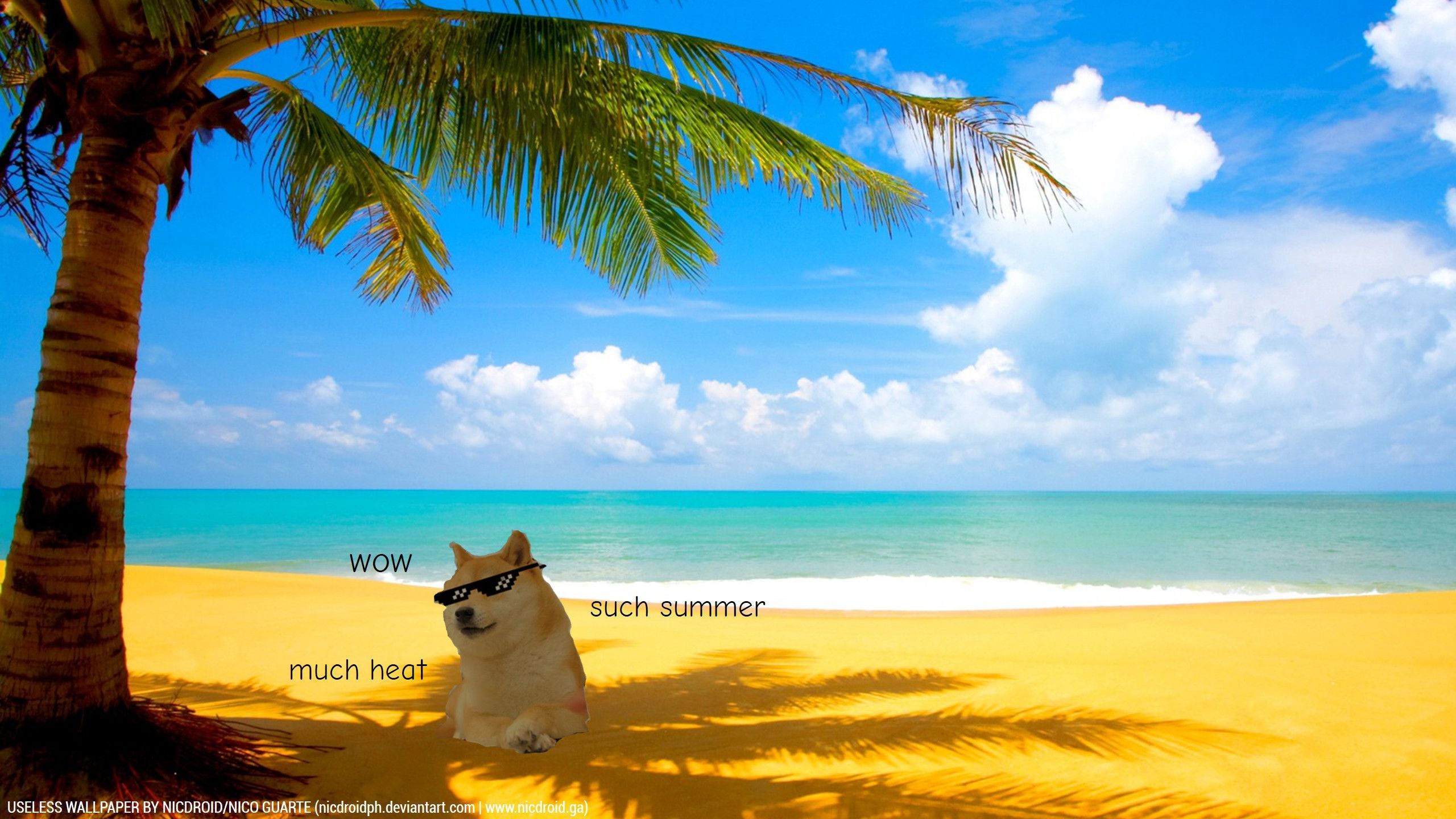 Doge 4K Wallpapers - Top Free Doge 4K Backgrounds - WallpaperAccess