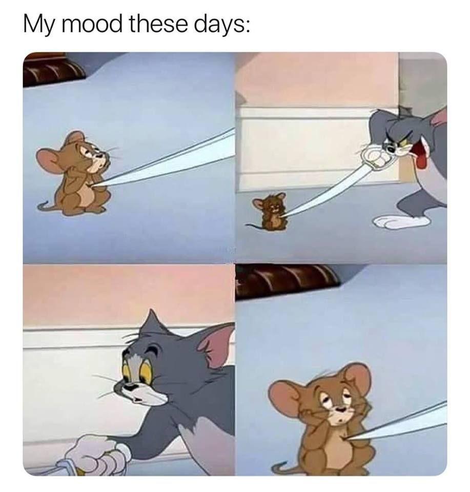 Tom And Jerry Memes Wallpapers Top Free Tom And Jerry Memes