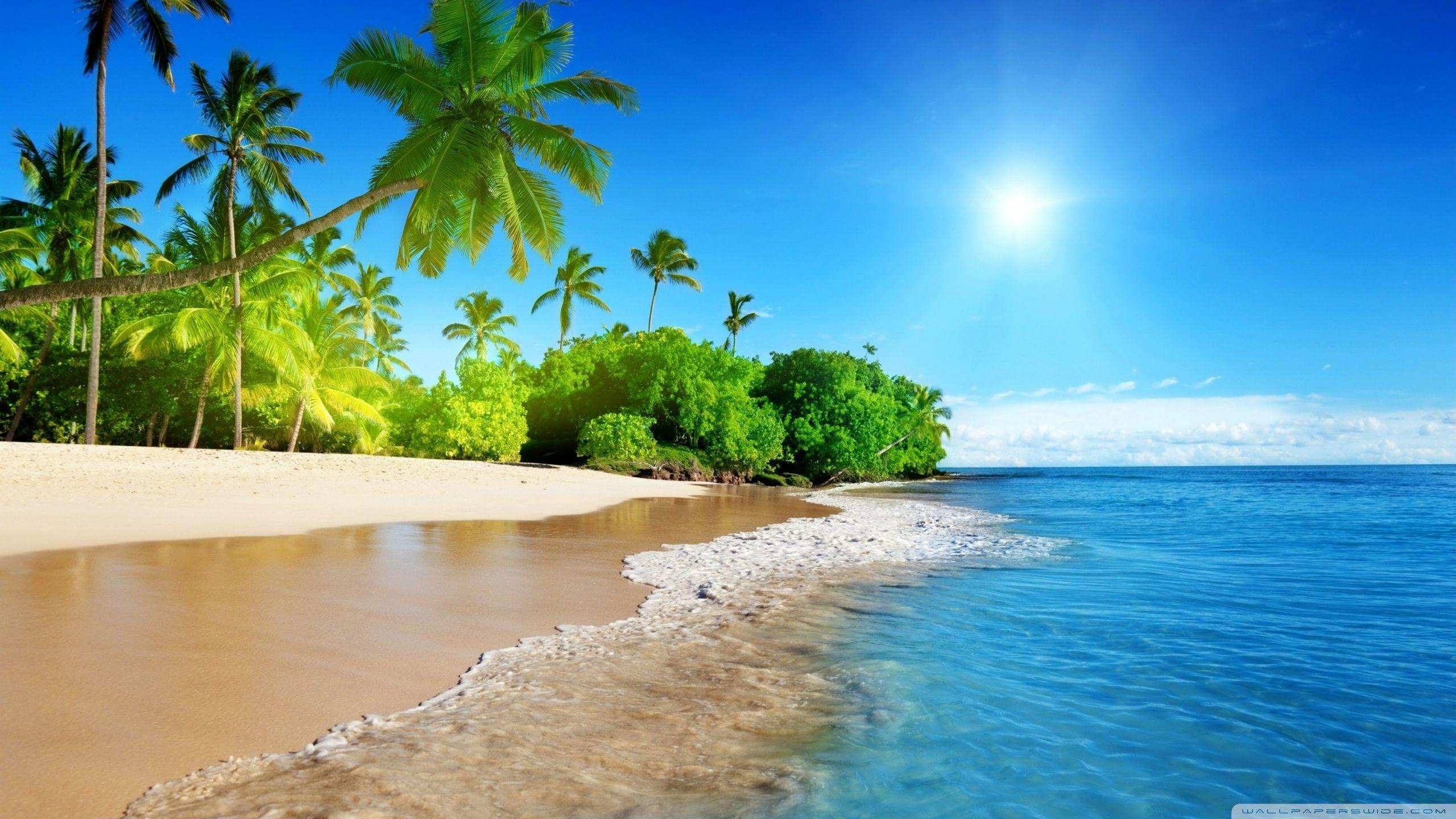 HD Island Wallpapers - Top Free HD Island Backgrounds - WallpaperAccess