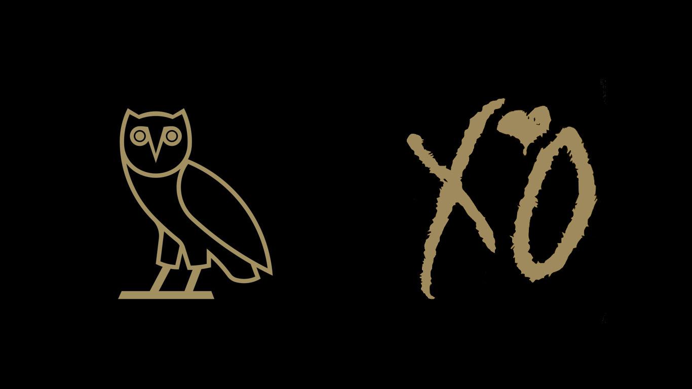 OVOXO Owl Wallpapers - Top Free OVOXO Owl Backgrounds - WallpaperAccess