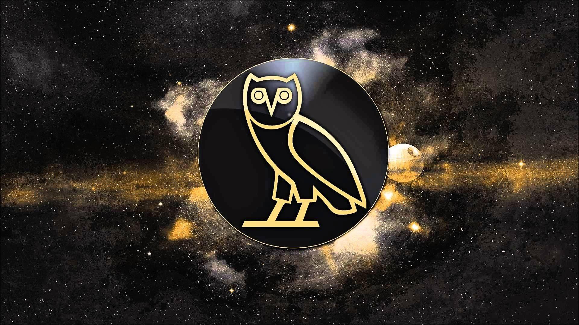 OVOXO Owl Wallpapers - Top Free OVOXO Owl Backgrounds - WallpaperAccess