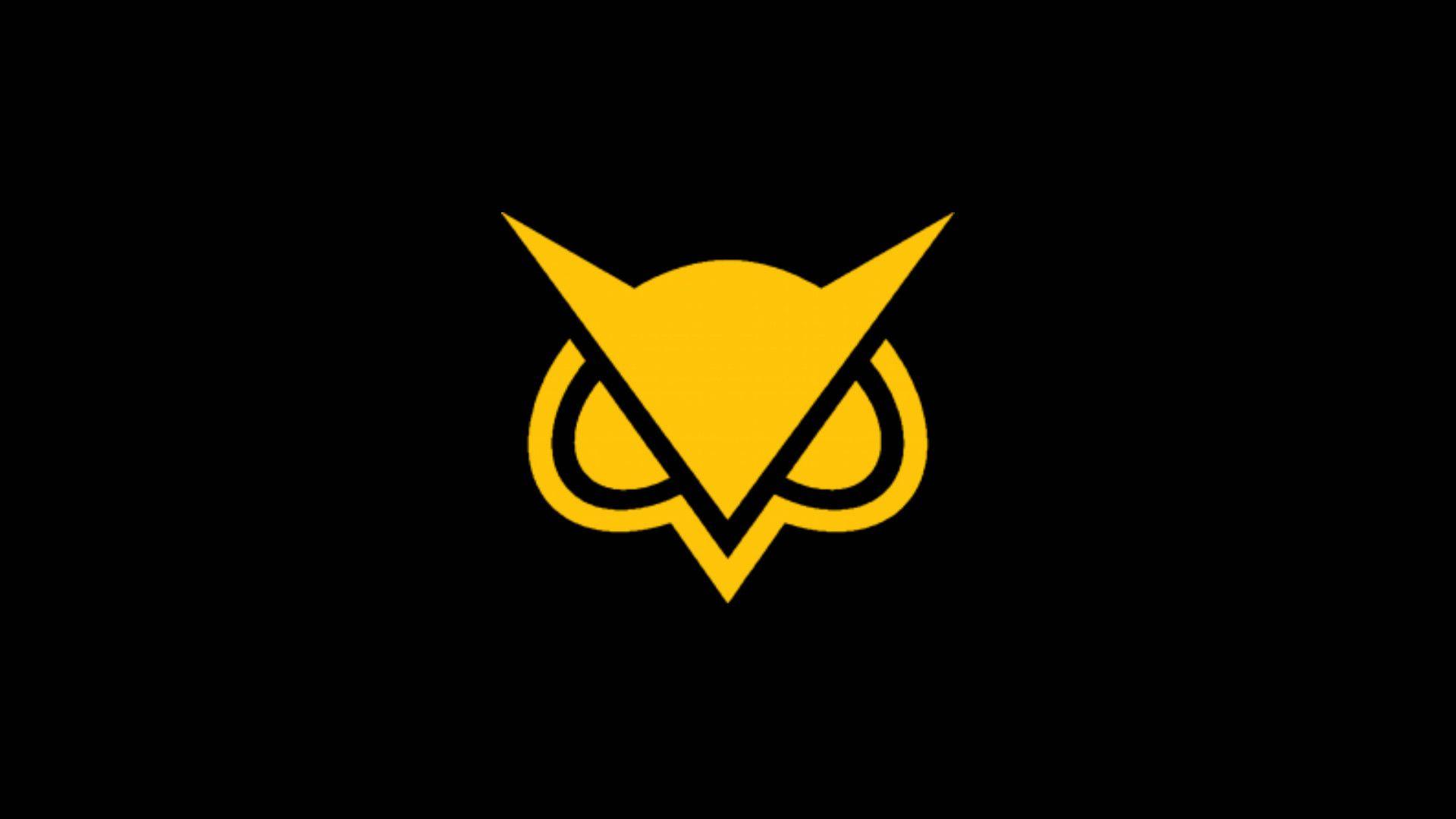 OVOXO Owl Wallpapers - Top Free OVOXO Owl Backgrounds - WallpaperAccess