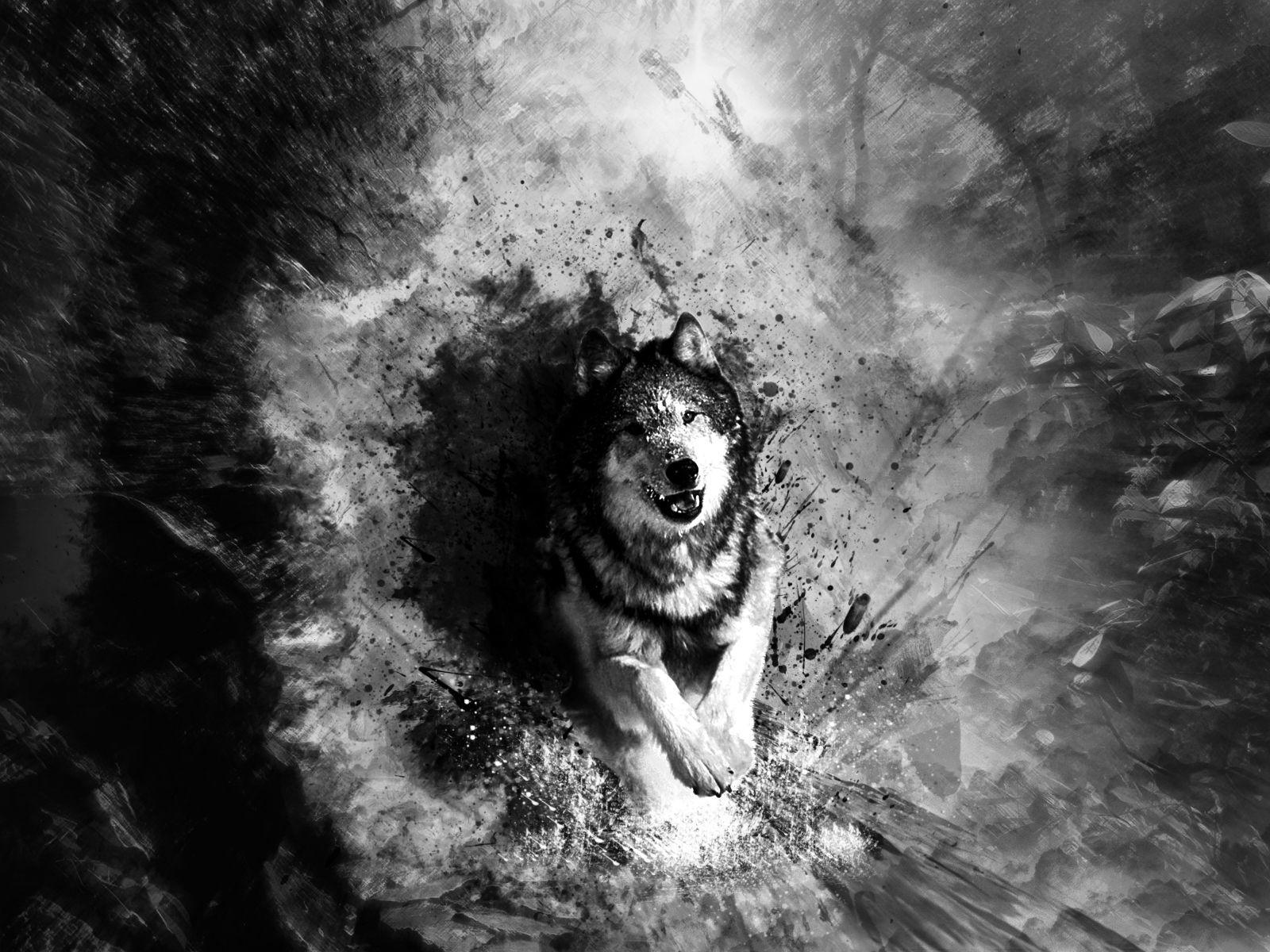 Hyper Realistic Wallpapers - Top Free Hyper Realistic Backgrounds ...