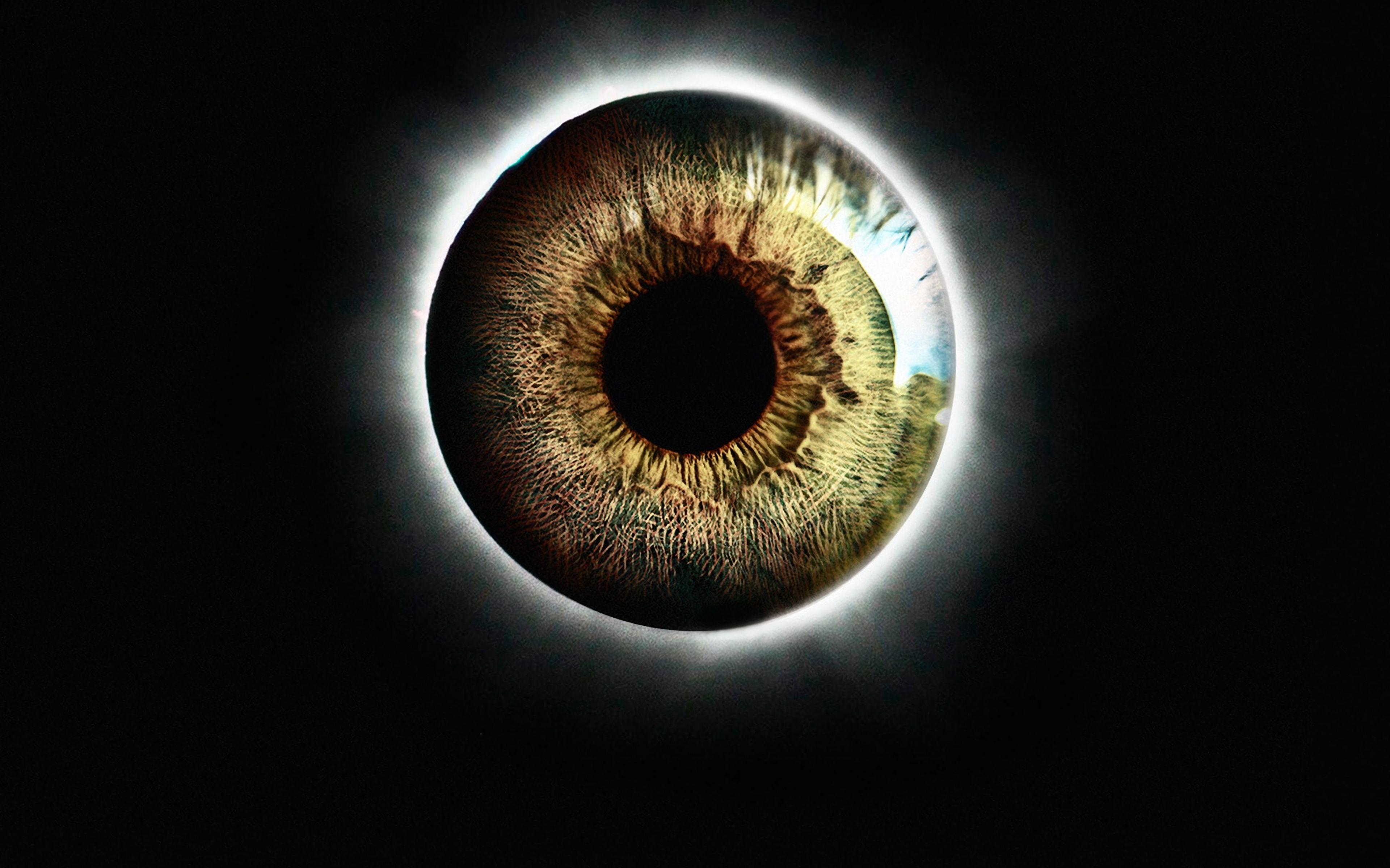 4K Realistic Wallpapers - Top Free 4K Realistic Backgrounds ...