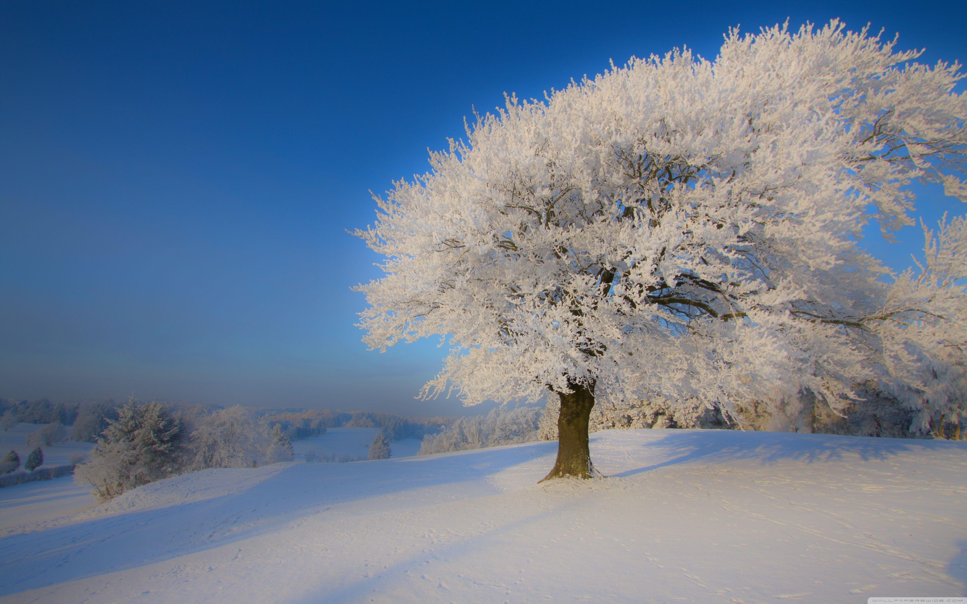 Snow Landscape Wallpapers - Top Free Snow Landscape Backgrounds ...