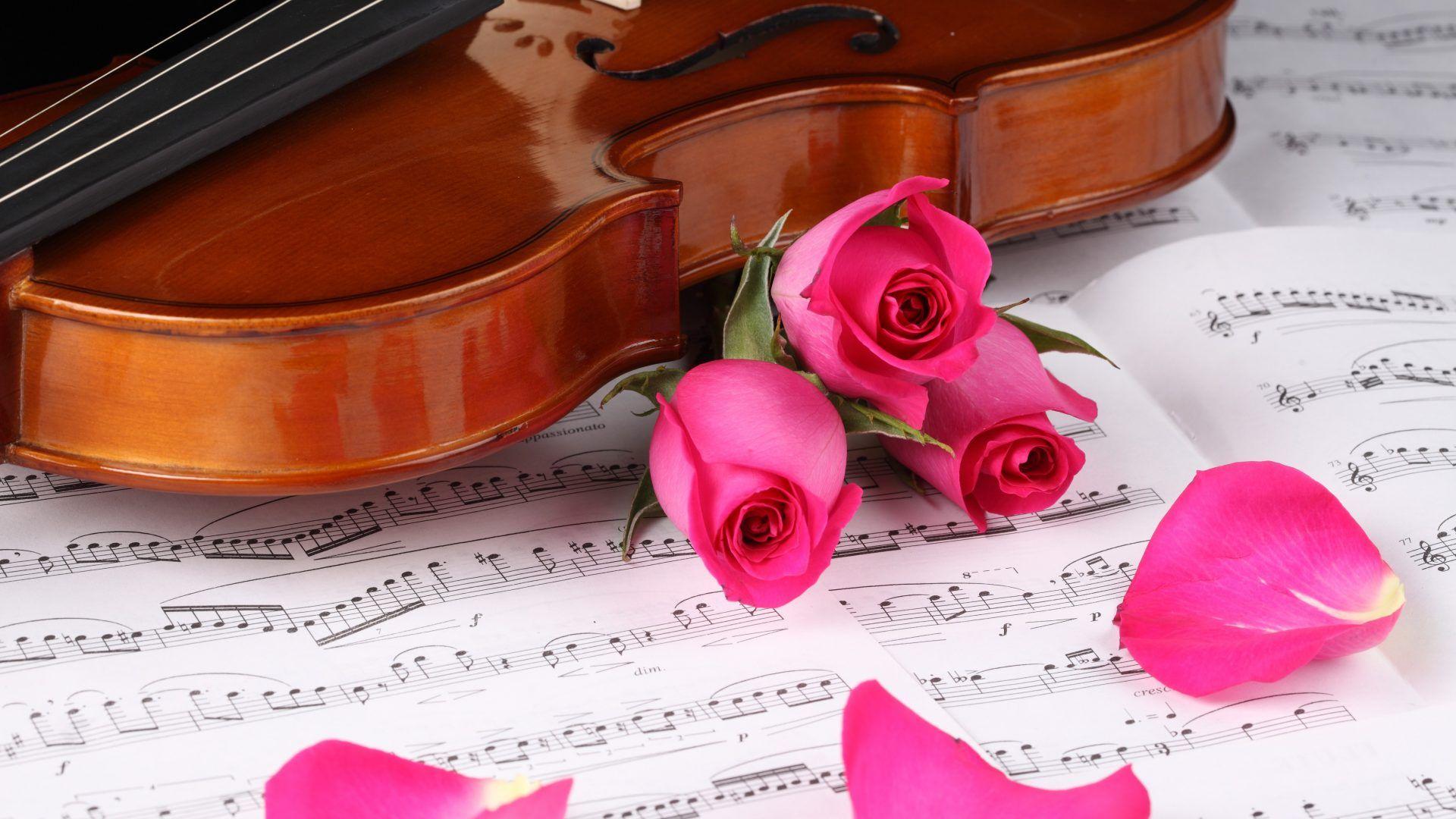Violin Roses Wallpapers - Top Free Violin Roses Backgrounds ...