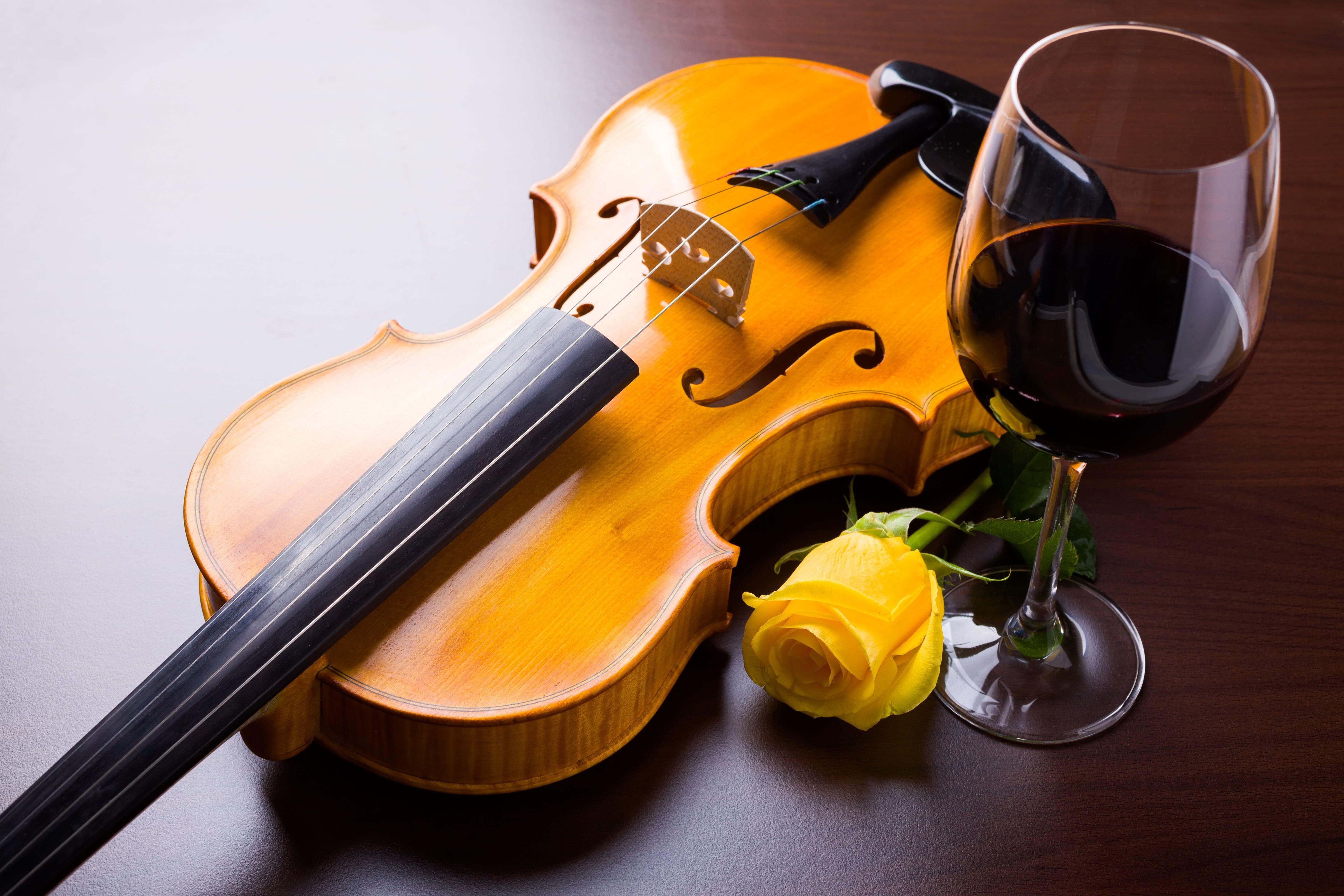 Violin Roses Wallpapers - Top Free Violin Roses Backgrounds ...