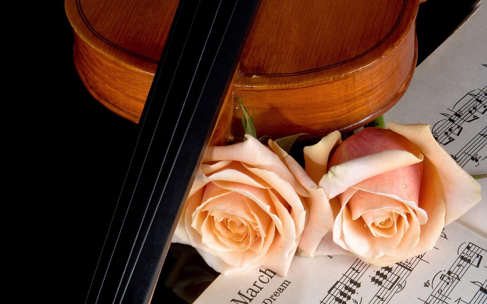 Violin Roses Wallpapers - Top Free Violin Roses Backgrounds ...
