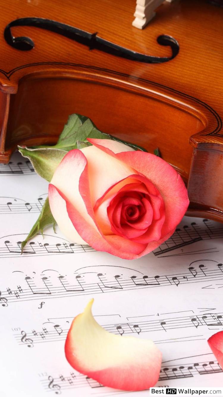 Violin Roses Wallpapers - Top Free Violin Roses Backgrounds ...