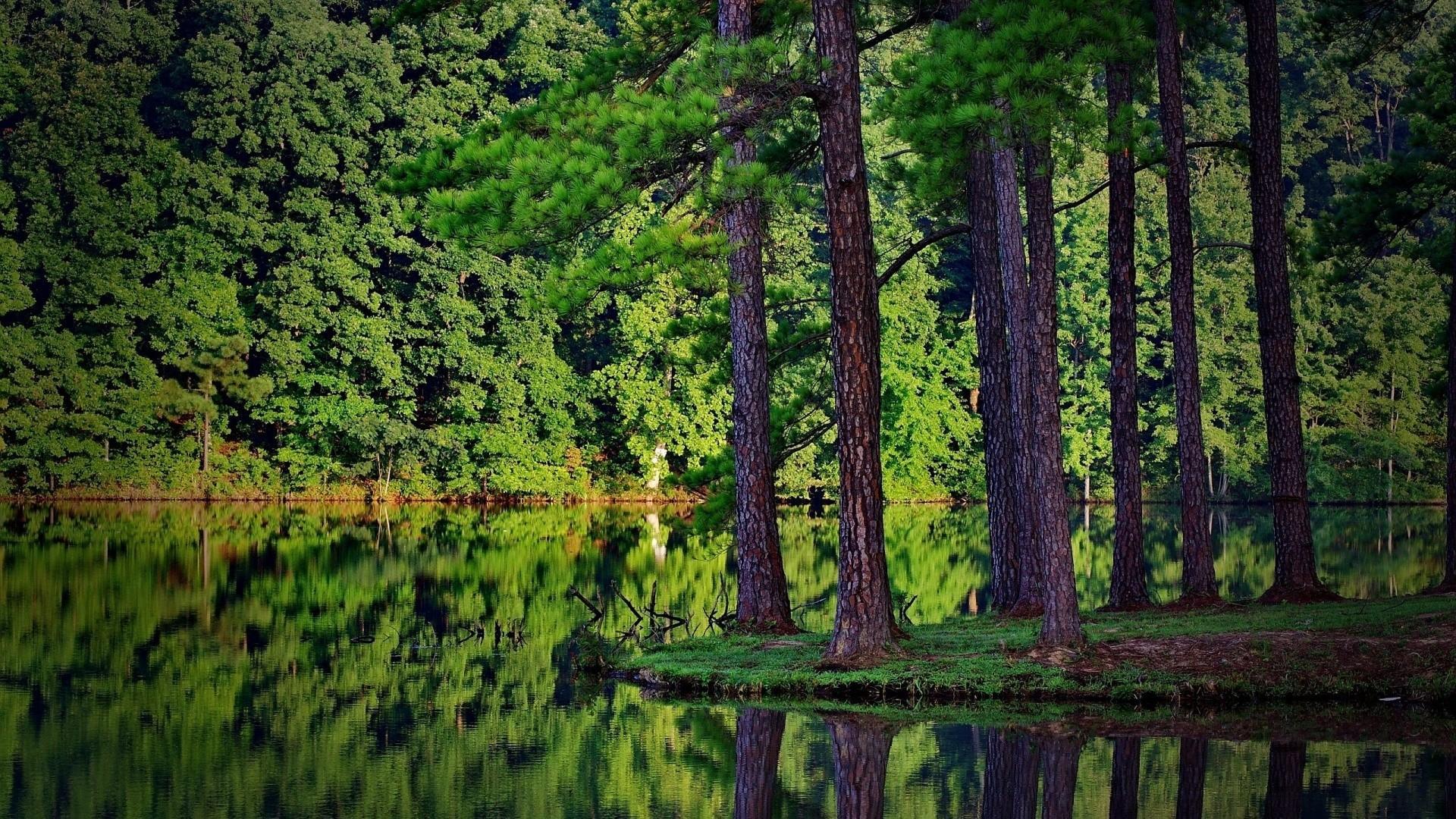 Forest Lake Wallpapers - Top Free Forest Lake Backgrounds - WallpaperAccess
