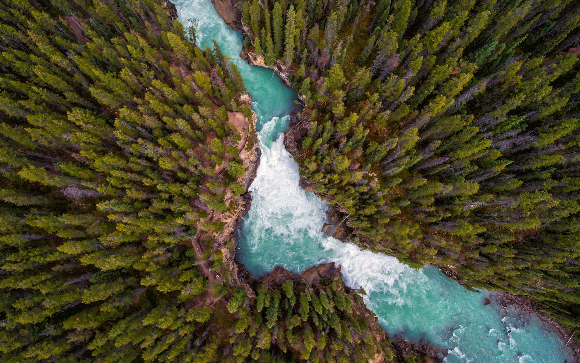 Forest Lake Wallpapers - Top Free Forest Lake Backgrounds - WallpaperAccess