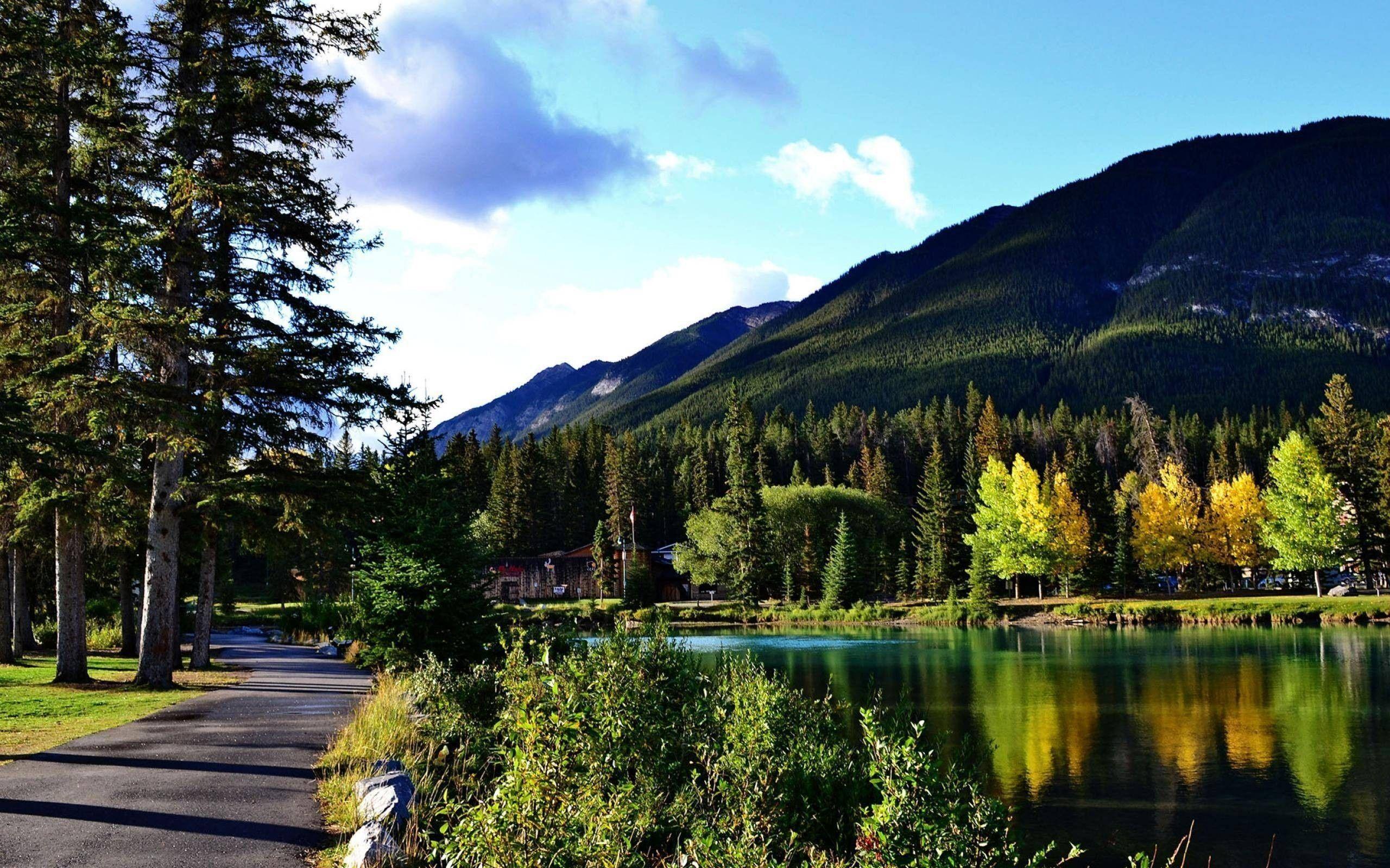 Forest Lake Wallpapers - Top Free Forest Lake Backgrounds - WallpaperAccess