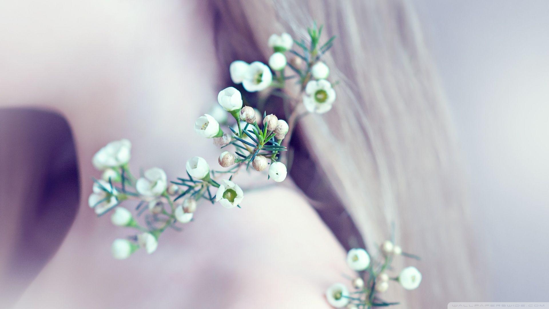 Delicate Wallpapers - Top Free Delicate Backgrounds - WallpaperAccess