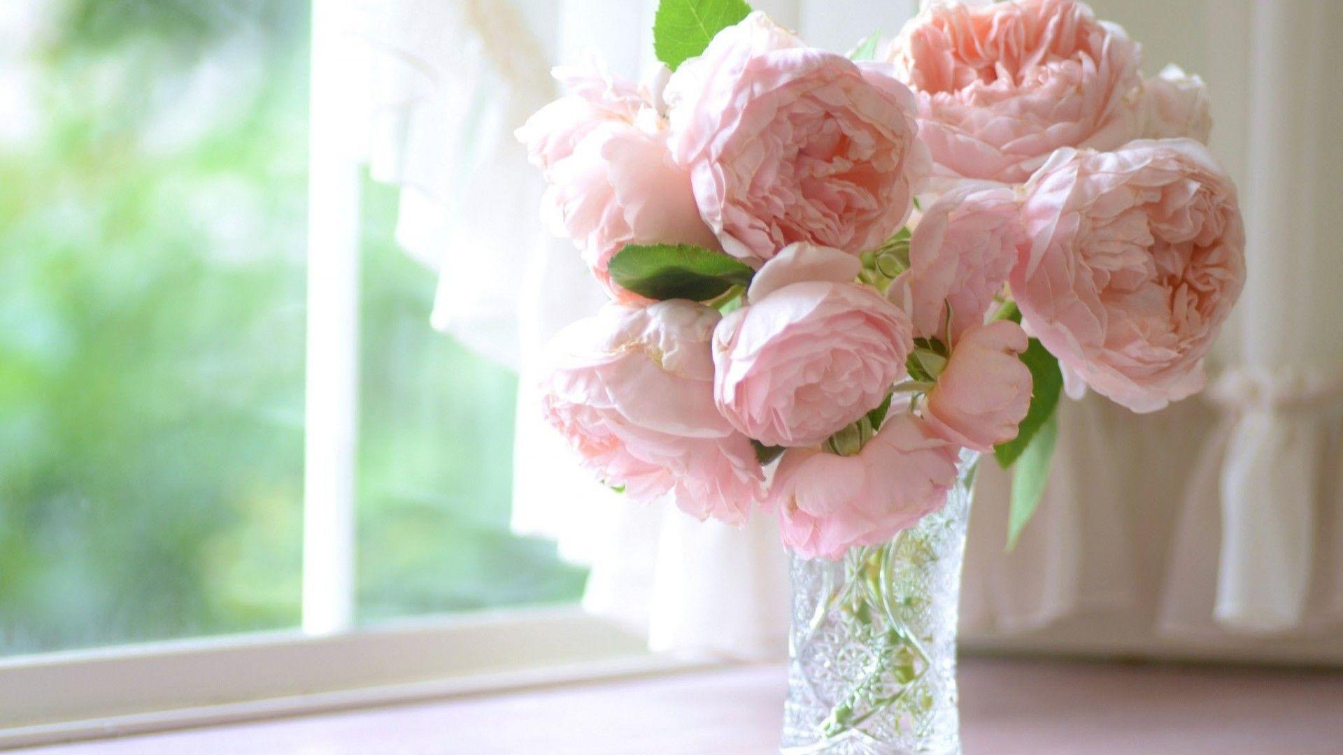 Delicate Wallpapers - Top Free Delicate Backgrounds - WallpaperAccess