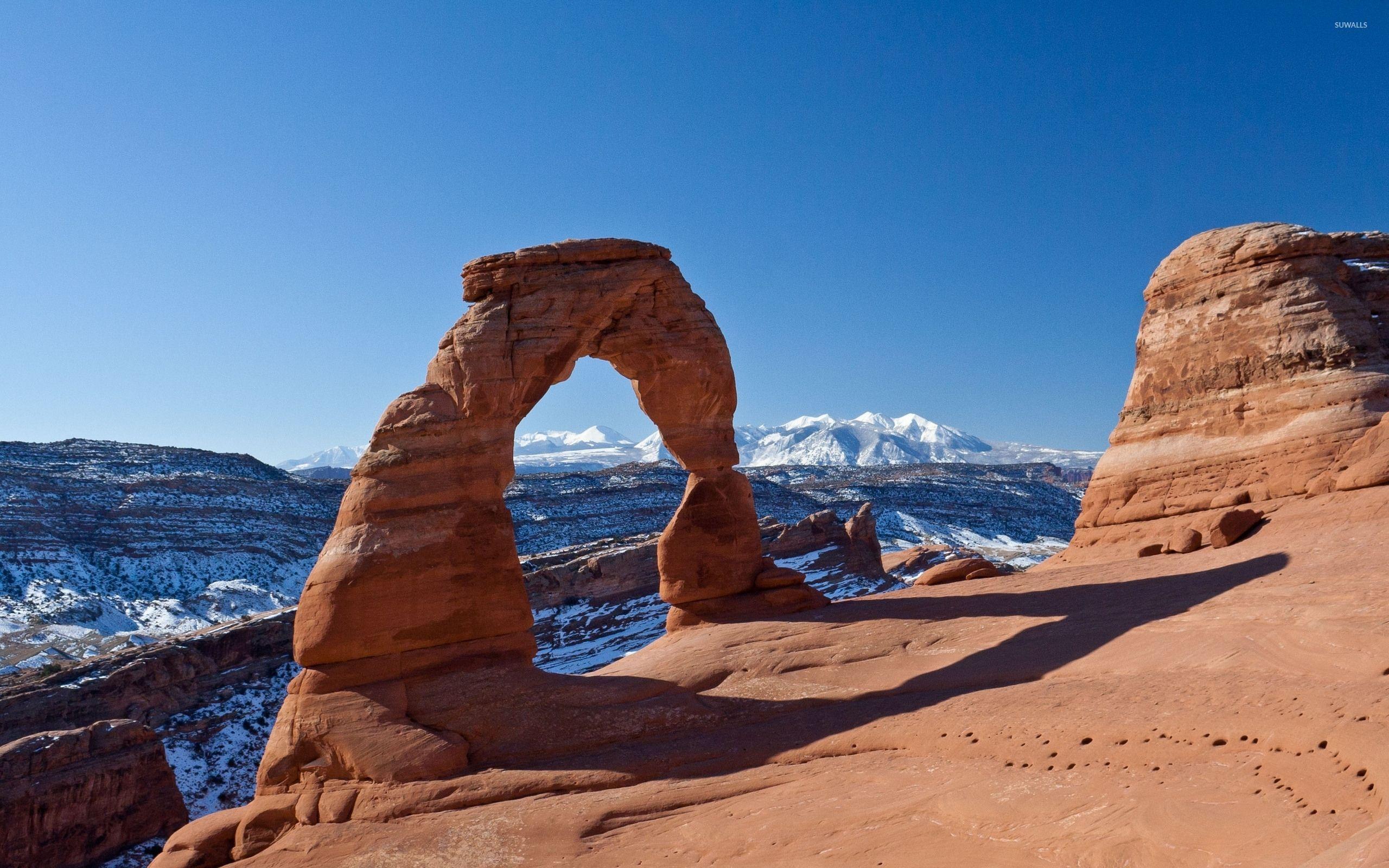 Delicate Wallpapers - Top Free Delicate Backgrounds - WallpaperAccess