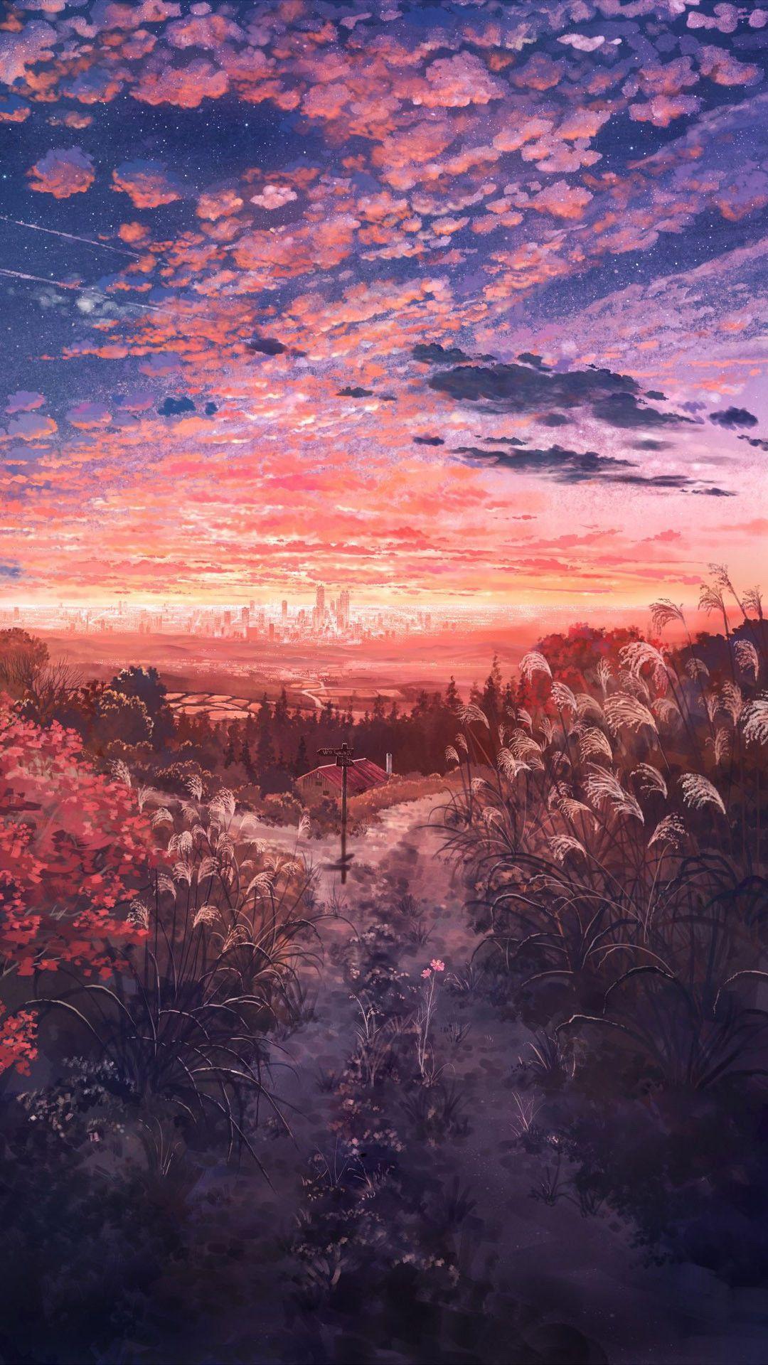 Anime Field Wallpapers - Top Free Anime Field Backgrounds - WallpaperAccess