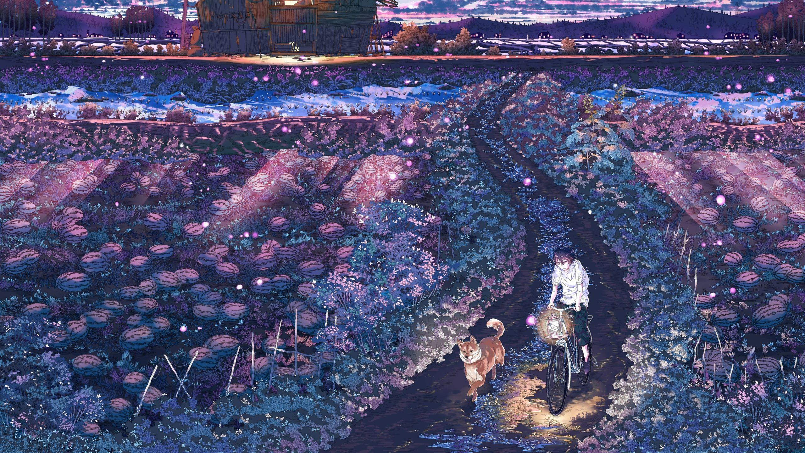 Anime Field Wallpapers - Top Free Anime Field Backgrounds - WallpaperAccess