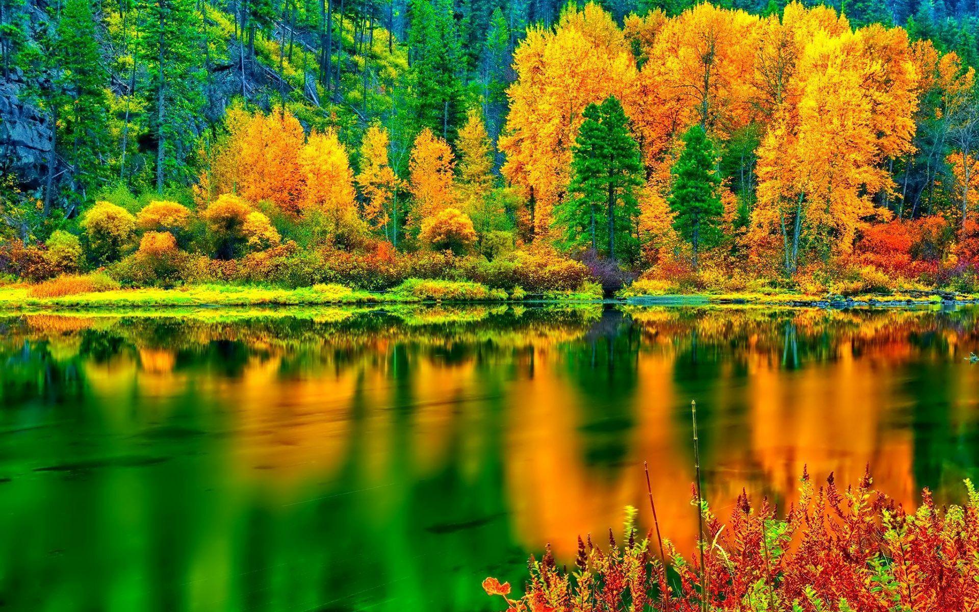 Beautiful Views Wallpapers - Top Free Beautiful Views Backgrounds ...
