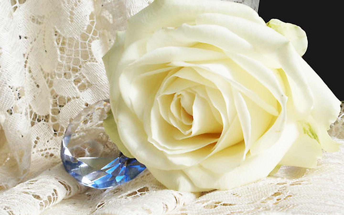White Rose HD Desktop Wallpapers - Top Free White Rose HD Desktop ...