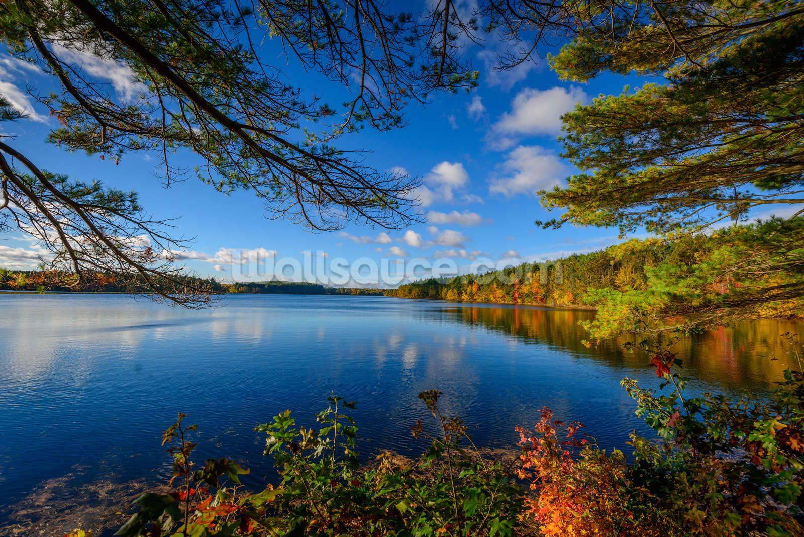 Forest Lake Wallpapers - Top Free Forest Lake Backgrounds - WallpaperAccess