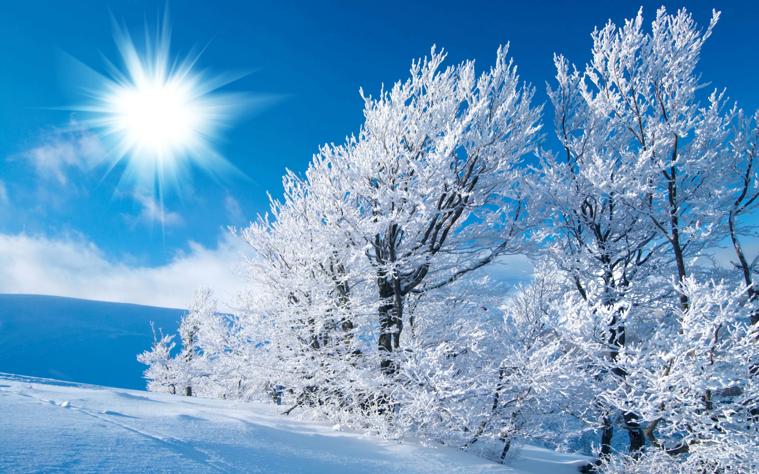 Winter Scenery Desktop Wallpapers - Top Free Winter Scenery Desktop ...