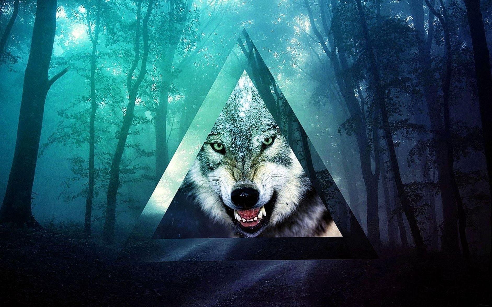 Wolf HD Desktop Wallpapers - Top Free Wolf HD Desktop Backgrounds ...