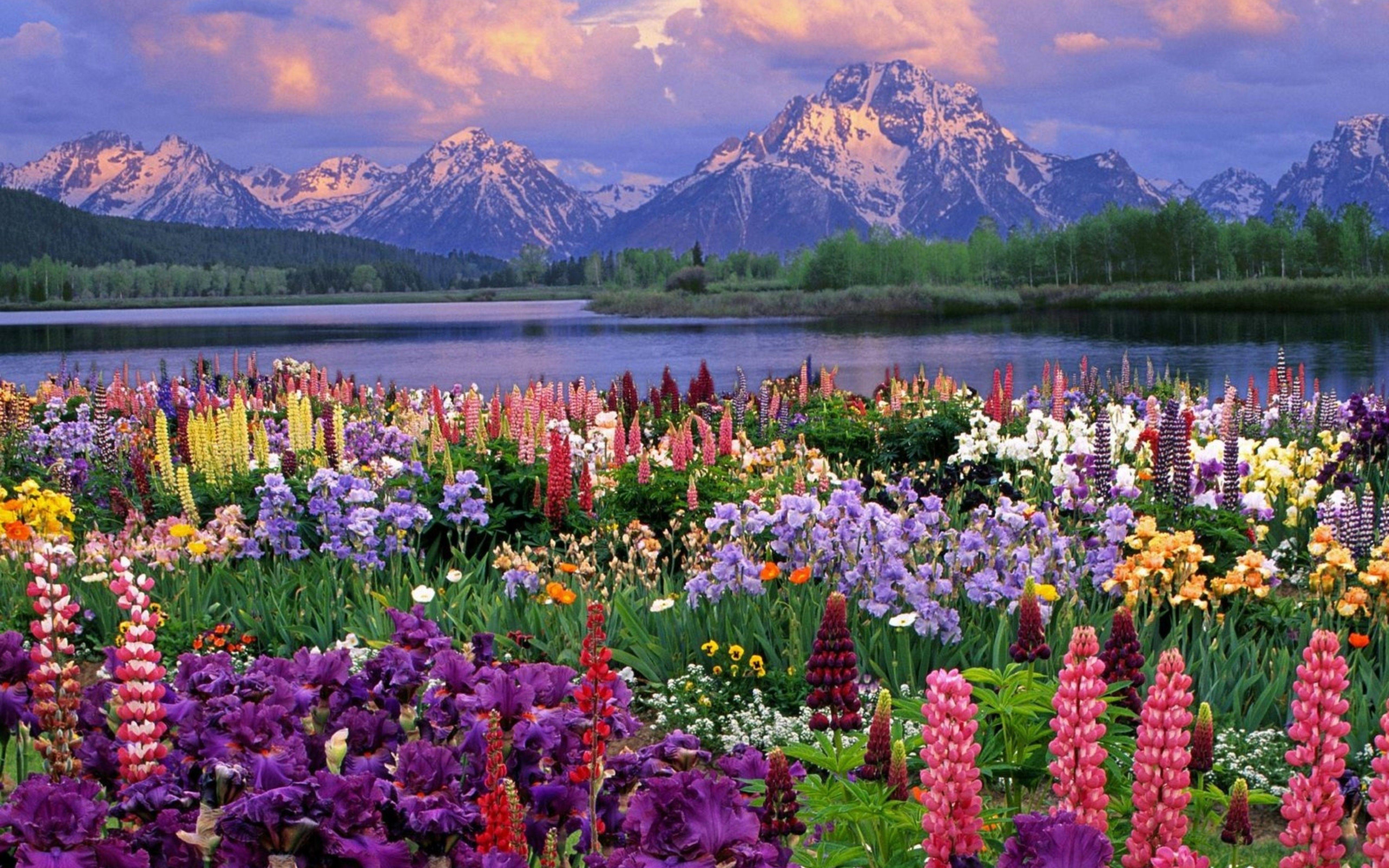 4K Colorful Nature Landscape Wallpapers - Top Free 4K Colorful Nature ...