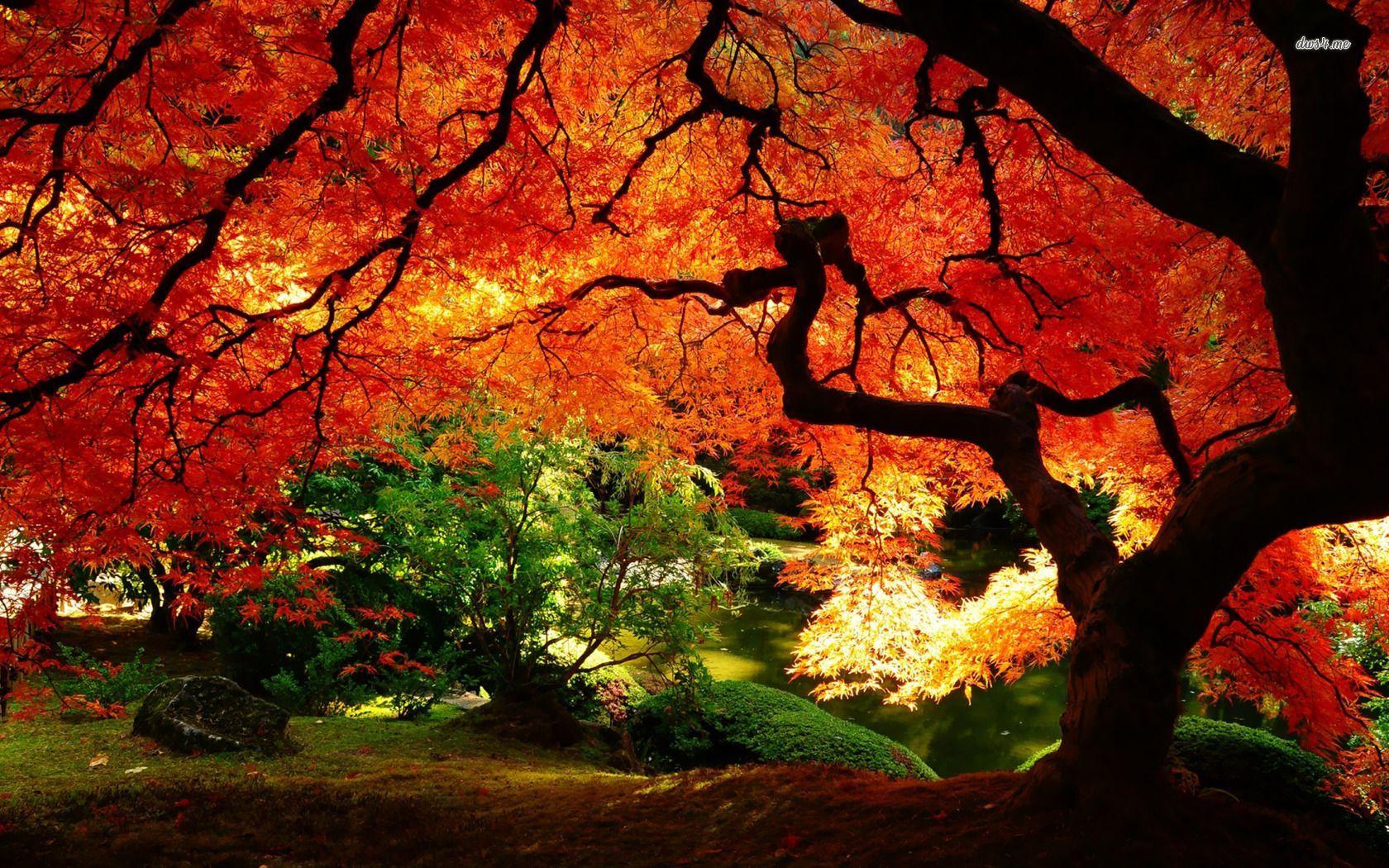 Fall Landscape Wallpapers - Top Free Fall Landscape Backgrounds ...