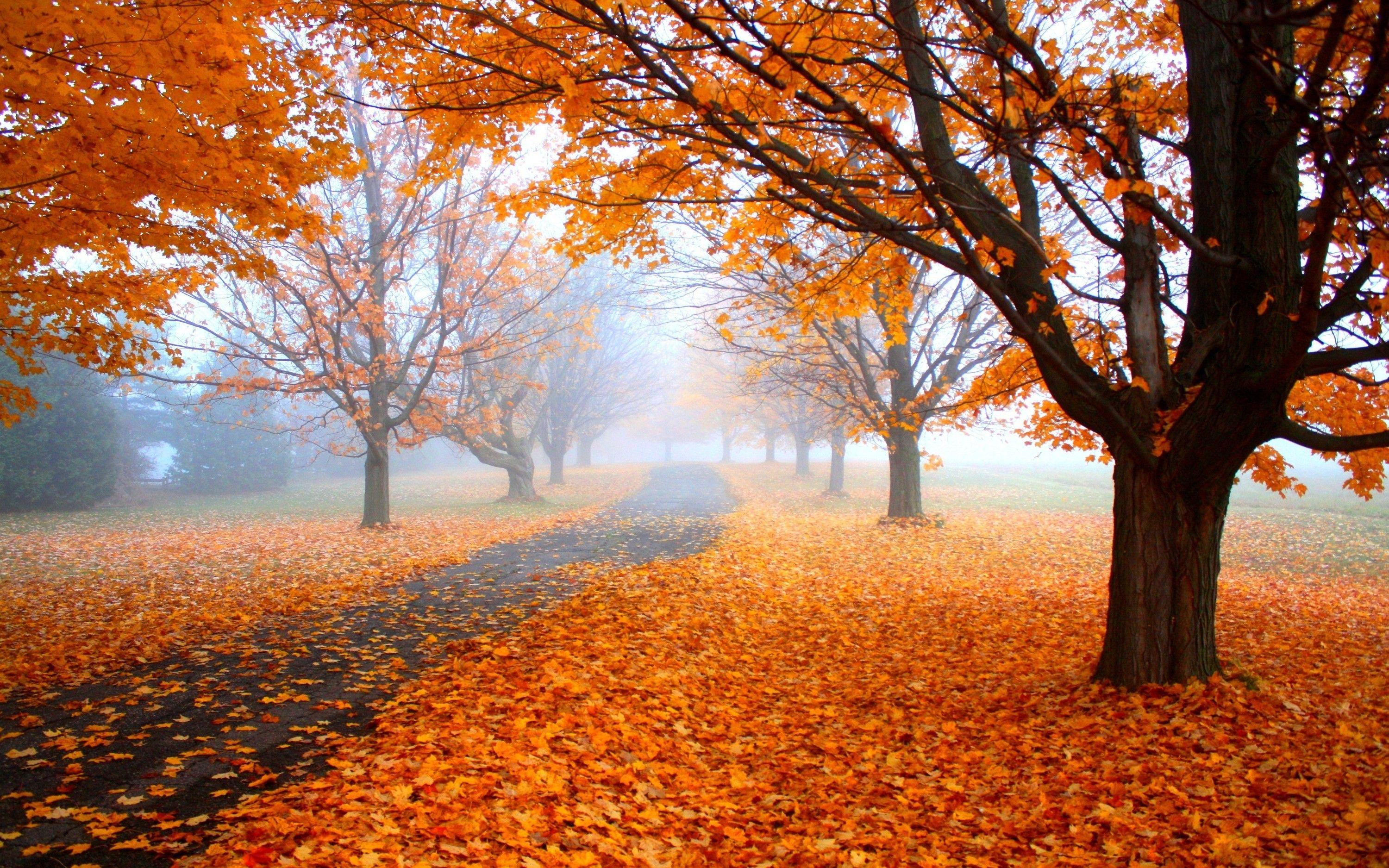 Fall Landscape Wallpapers - Top Free Fall Landscape Backgrounds ...