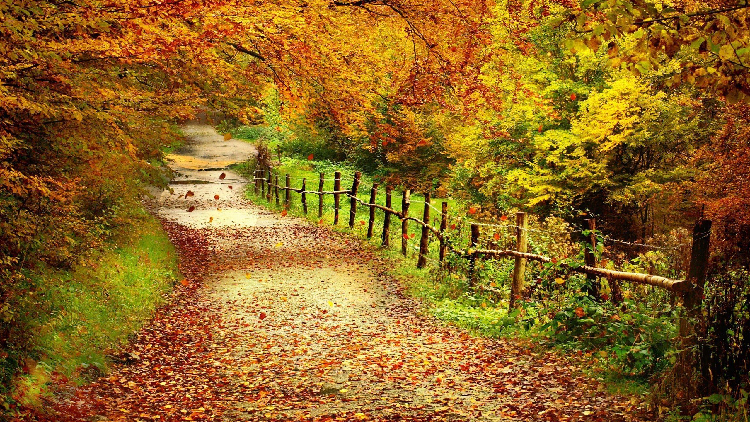 Fall Landscape Wallpapers - Top Free Fall Landscape Backgrounds ...