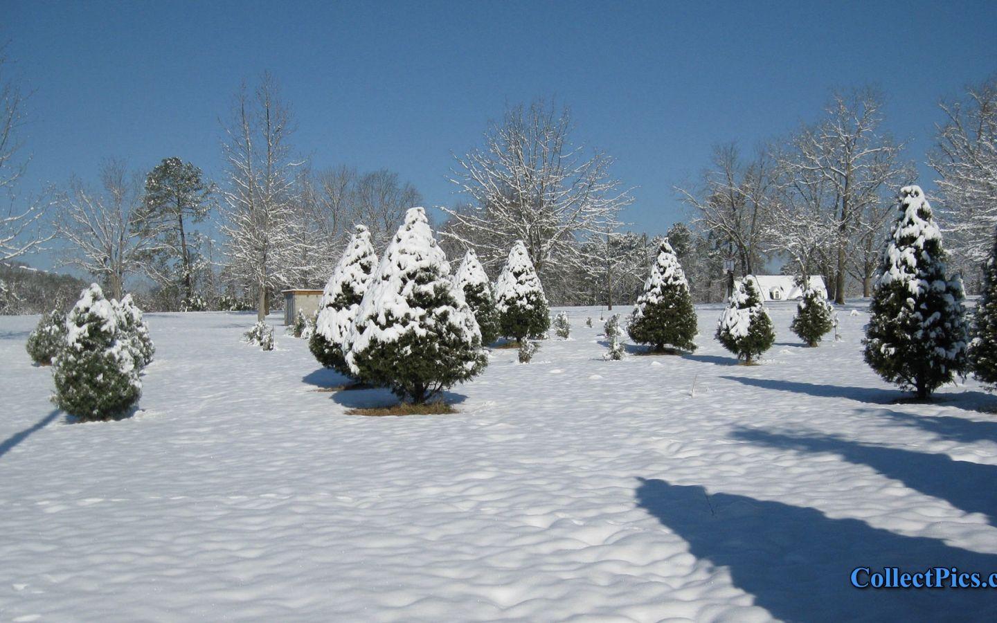 Snow Farm Wallpapers - Top Free Snow Farm Backgrounds - WallpaperAccess