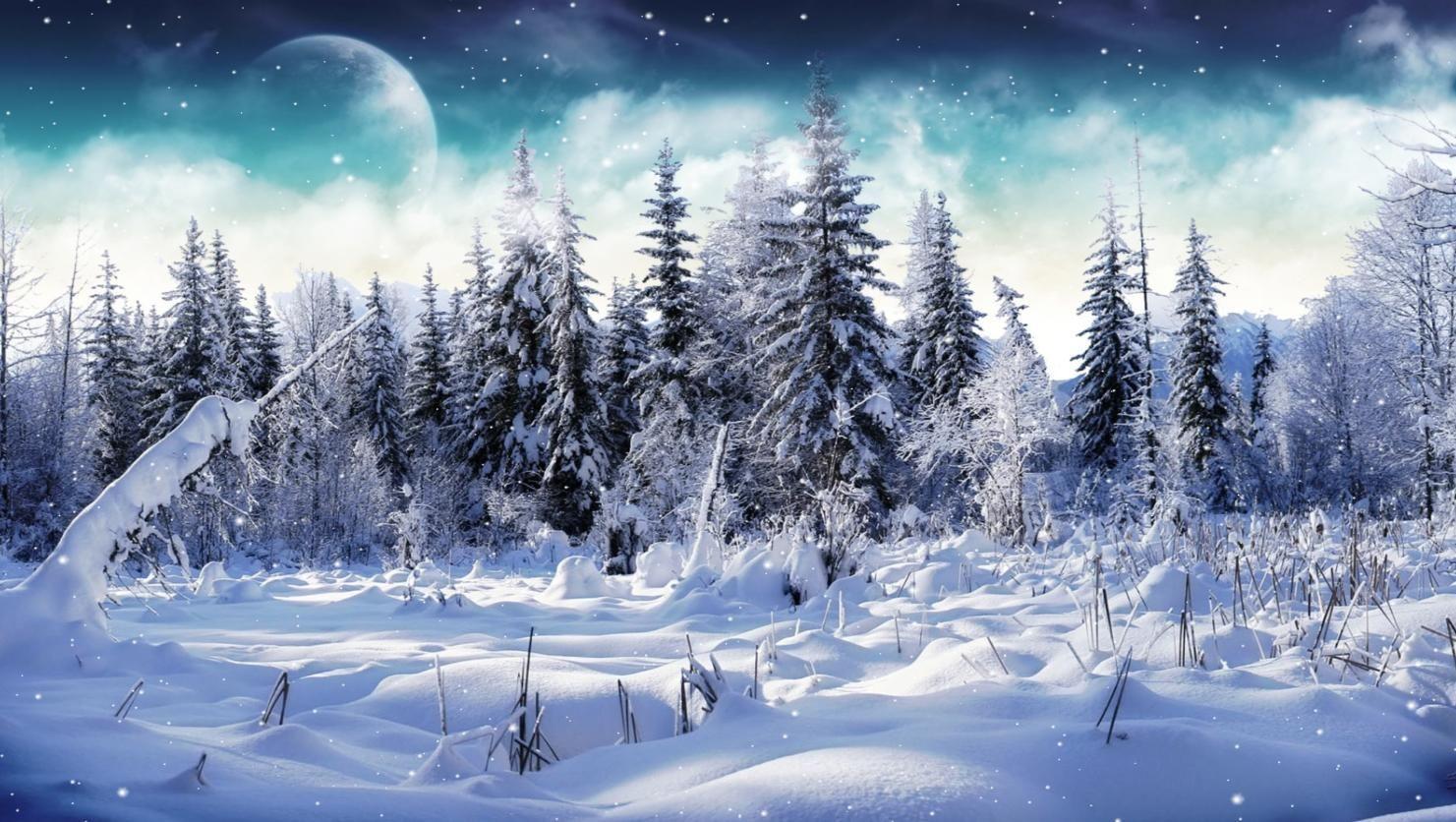 Cartoon Winter Desktop Wallpapers - Top Free Cartoon Winter Desktop ...