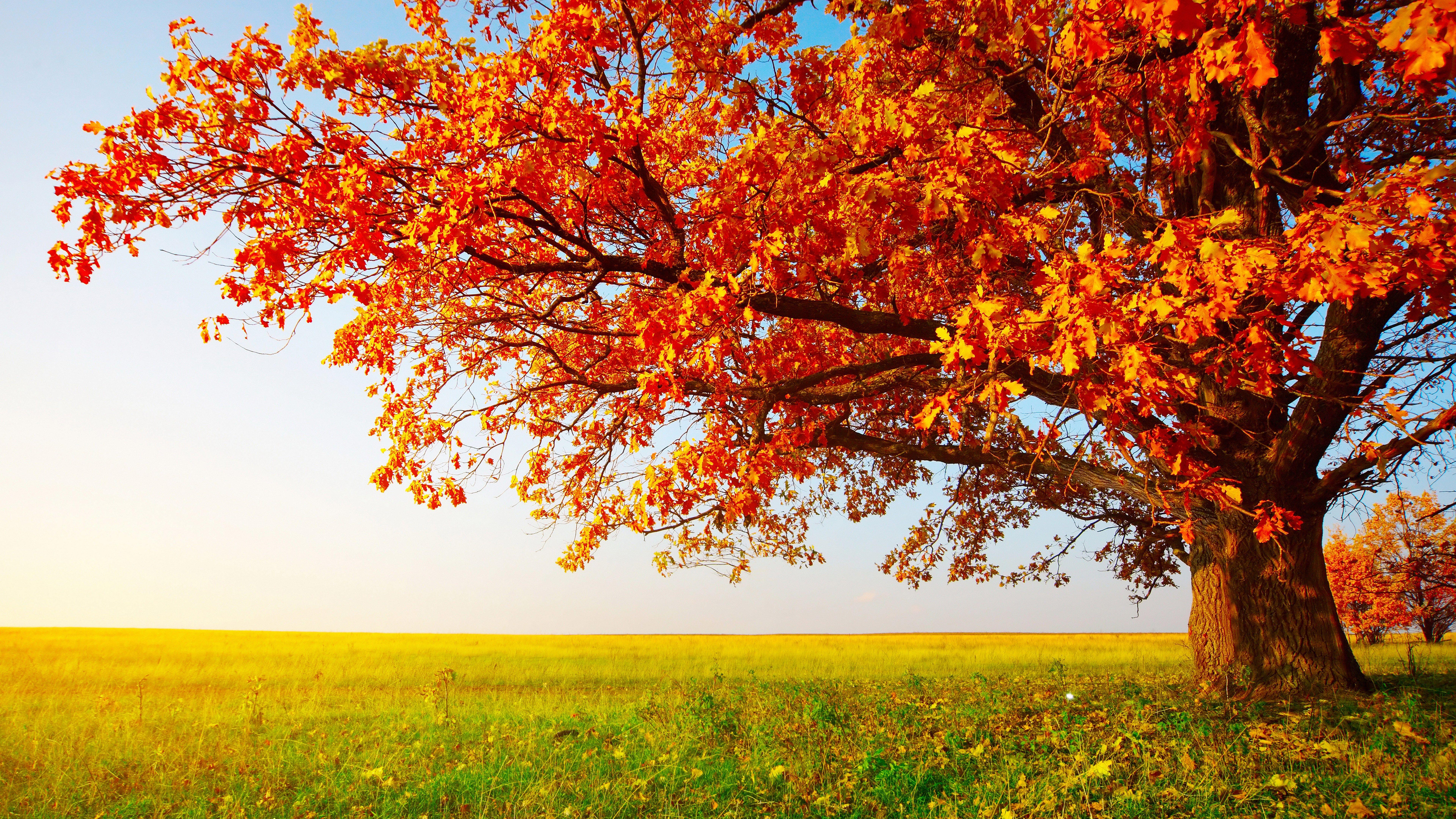 Fall Landscape Wallpapers - Top Free Fall Landscape Backgrounds ...