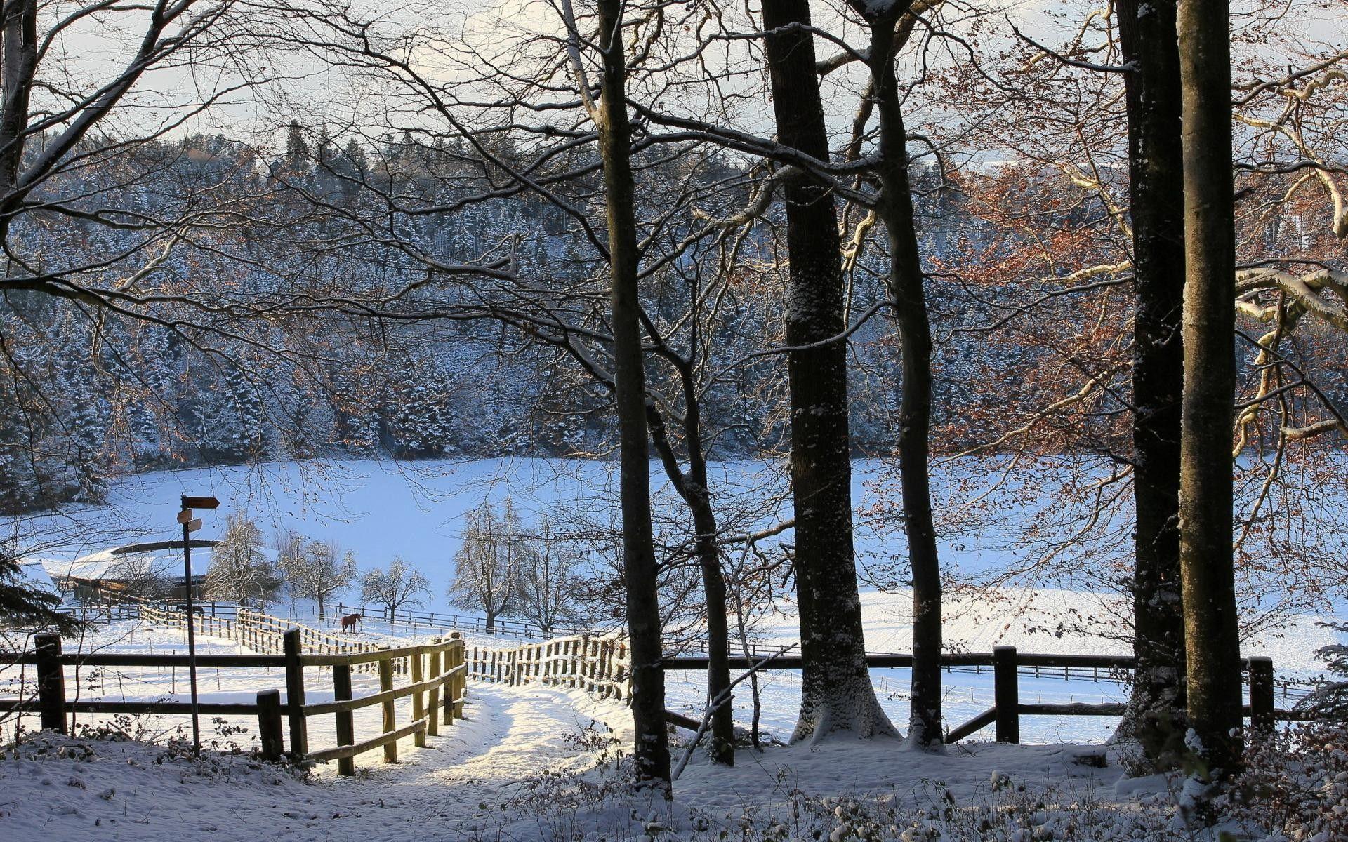 Snow Farm Wallpapers - Top Free Snow Farm Backgrounds - WallpaperAccess