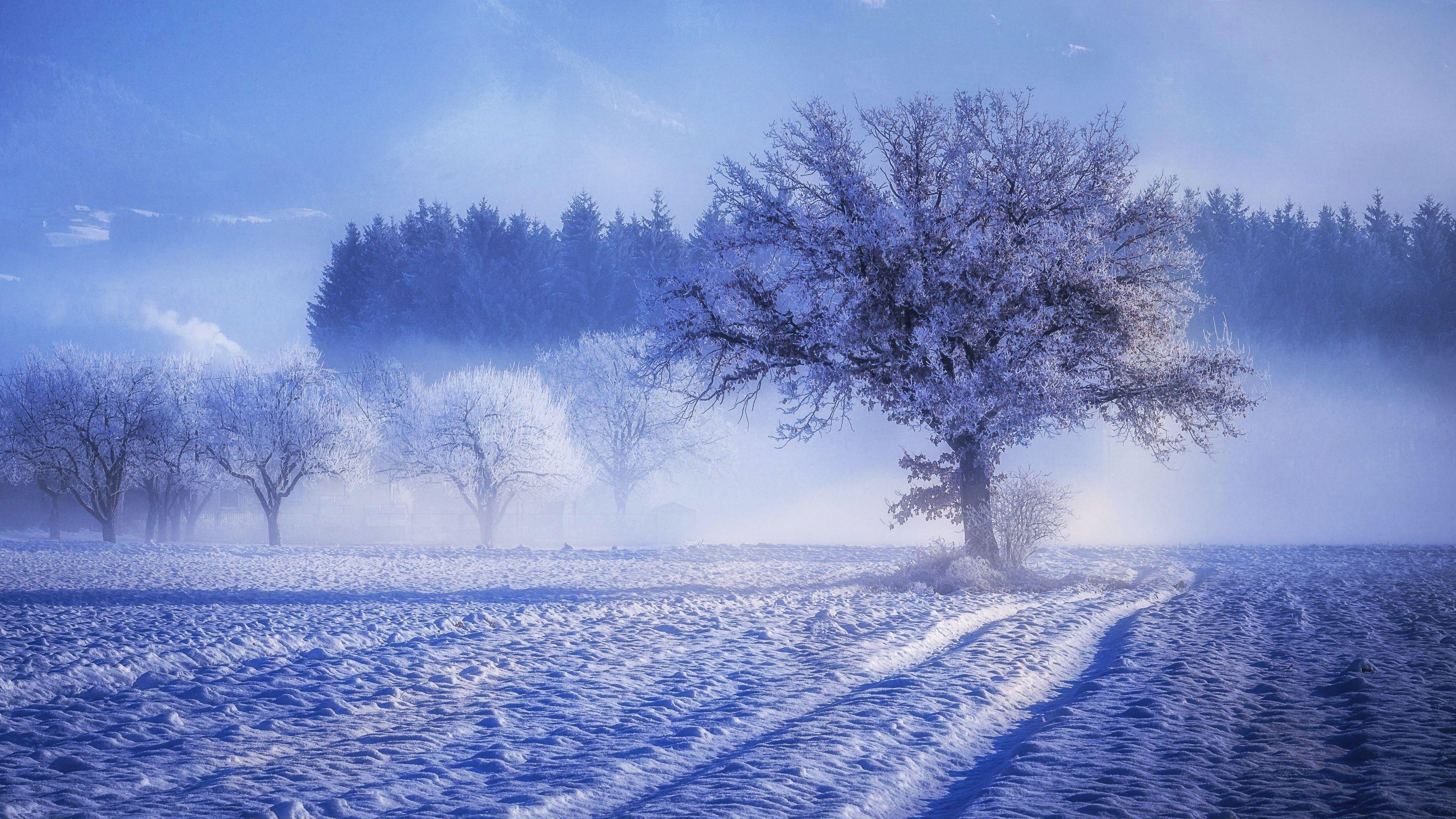 Winter Snow Landscape Wallpapers - Top Free Winter Snow Landscape ...