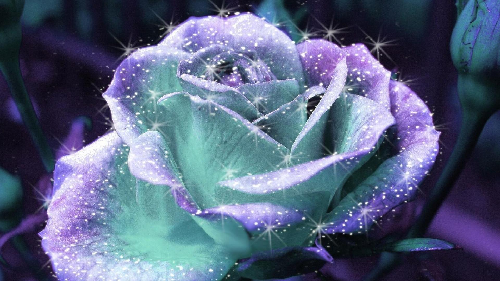 Magical Flowers Wallpapers - Top Free Magical Flowers Backgrounds ...