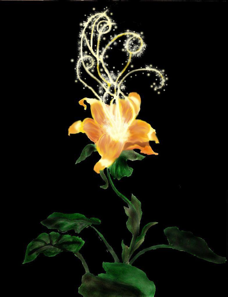 Magical Flowers Wallpapers - Top Free Magical Flowers Backgrounds ...
