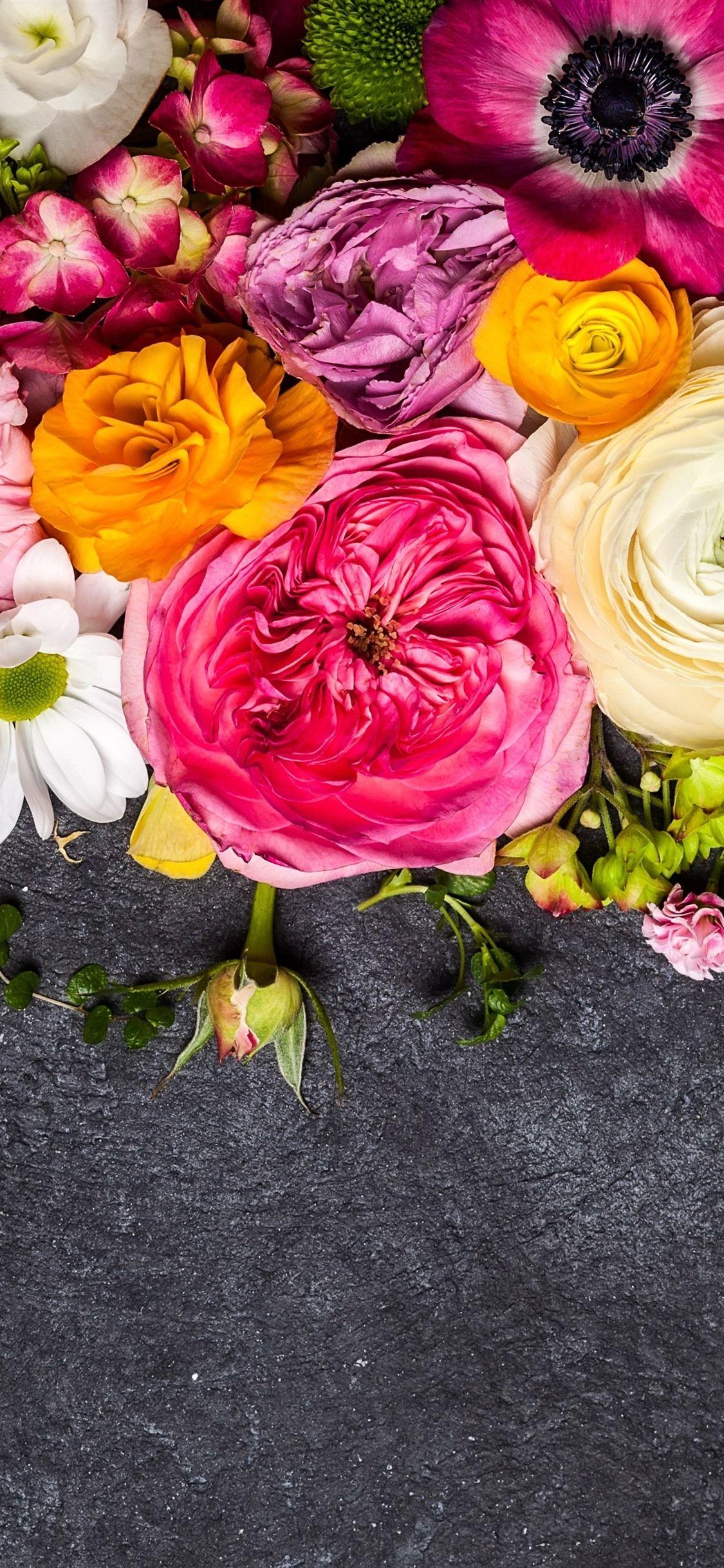 Colorful Flower iPhone Wallpapers - Top Free Colorful Flower iPhone ...