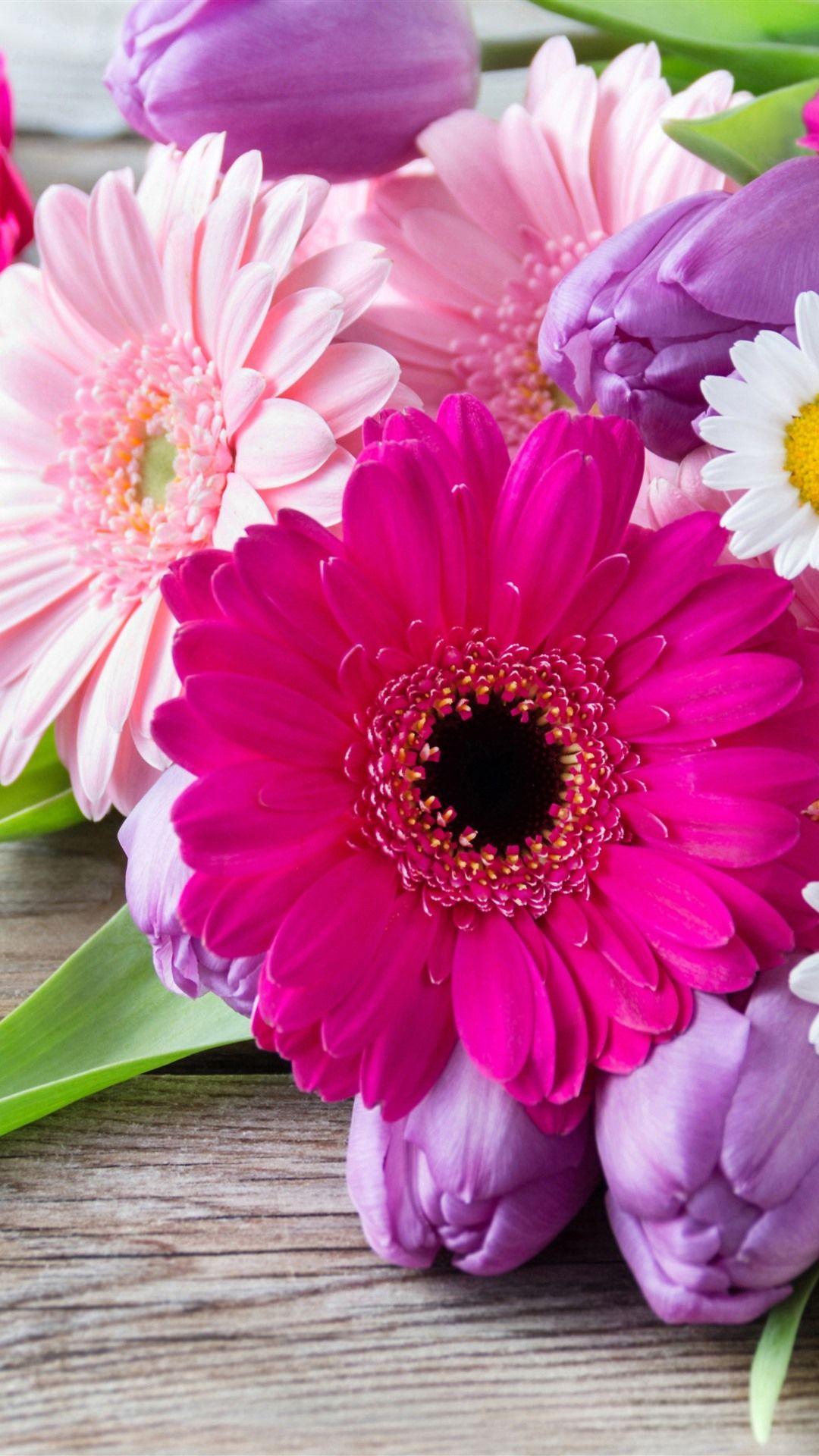 Colorful Flowers iPhone Wallpapers - Top Free Colorful Flowers iPhone ...