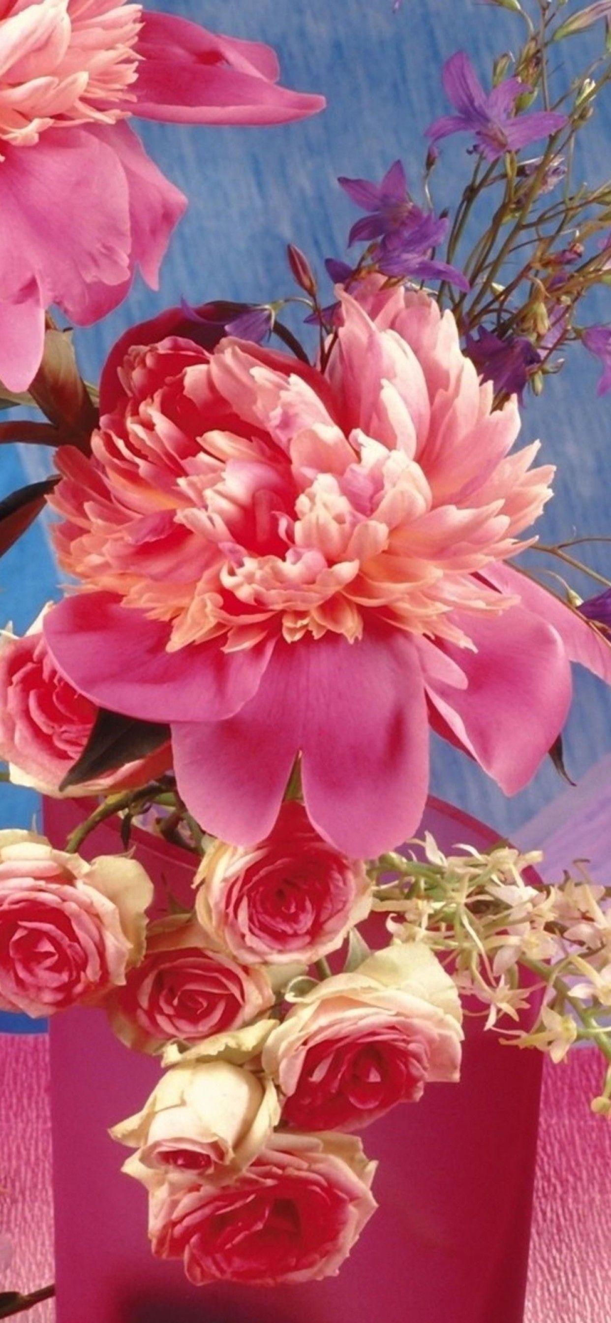Colorful Flowers iPhone Wallpapers - Top Free Colorful Flowers iPhone ...