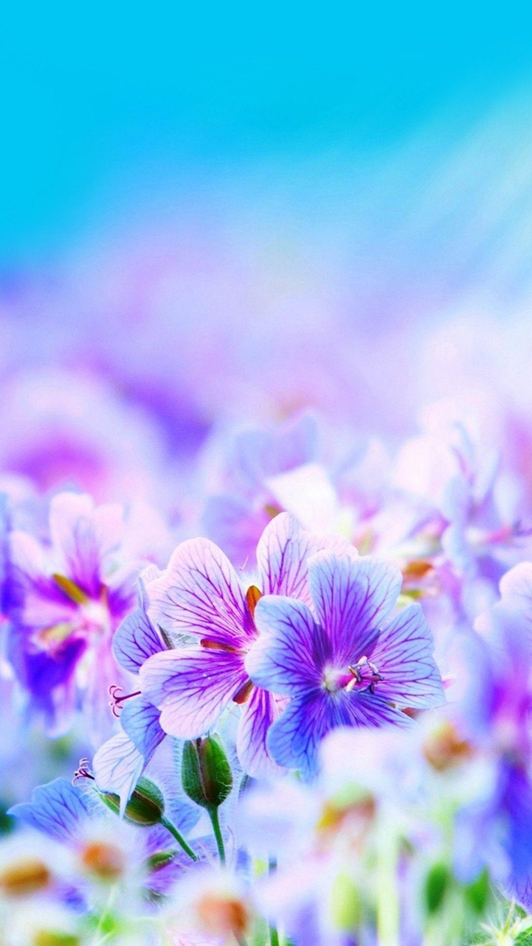 Colorful Flowers iPhone Wallpapers - Top Free Colorful Flowers iPhone ...