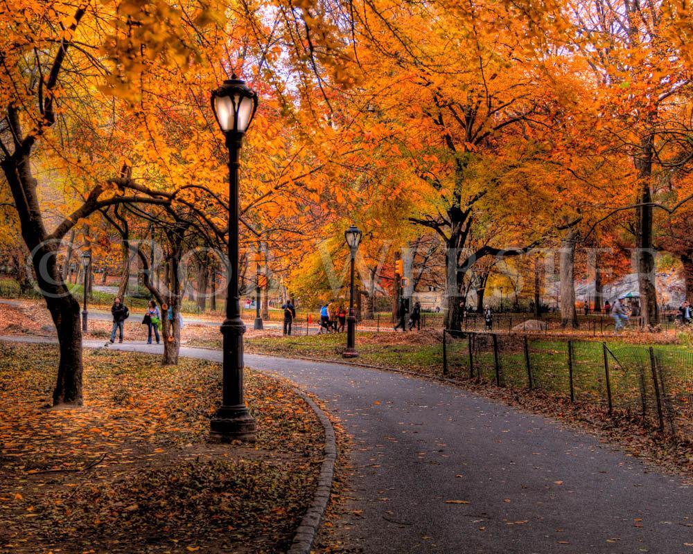 Central Park Fall Wallpapers - Top Free Central Park Fall Backgrounds ...