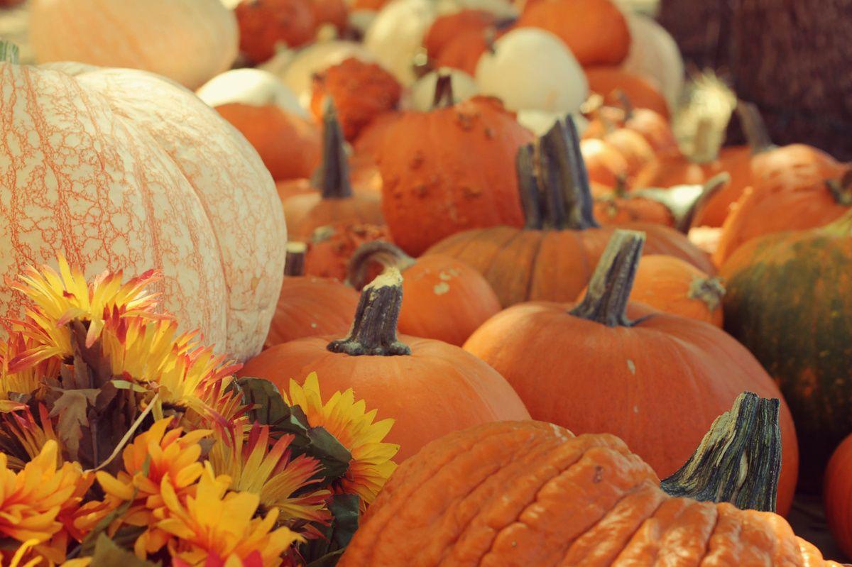 Tumblr Autumn Laptop Wallpapers - Top Free Tumblr Autumn Laptop ...